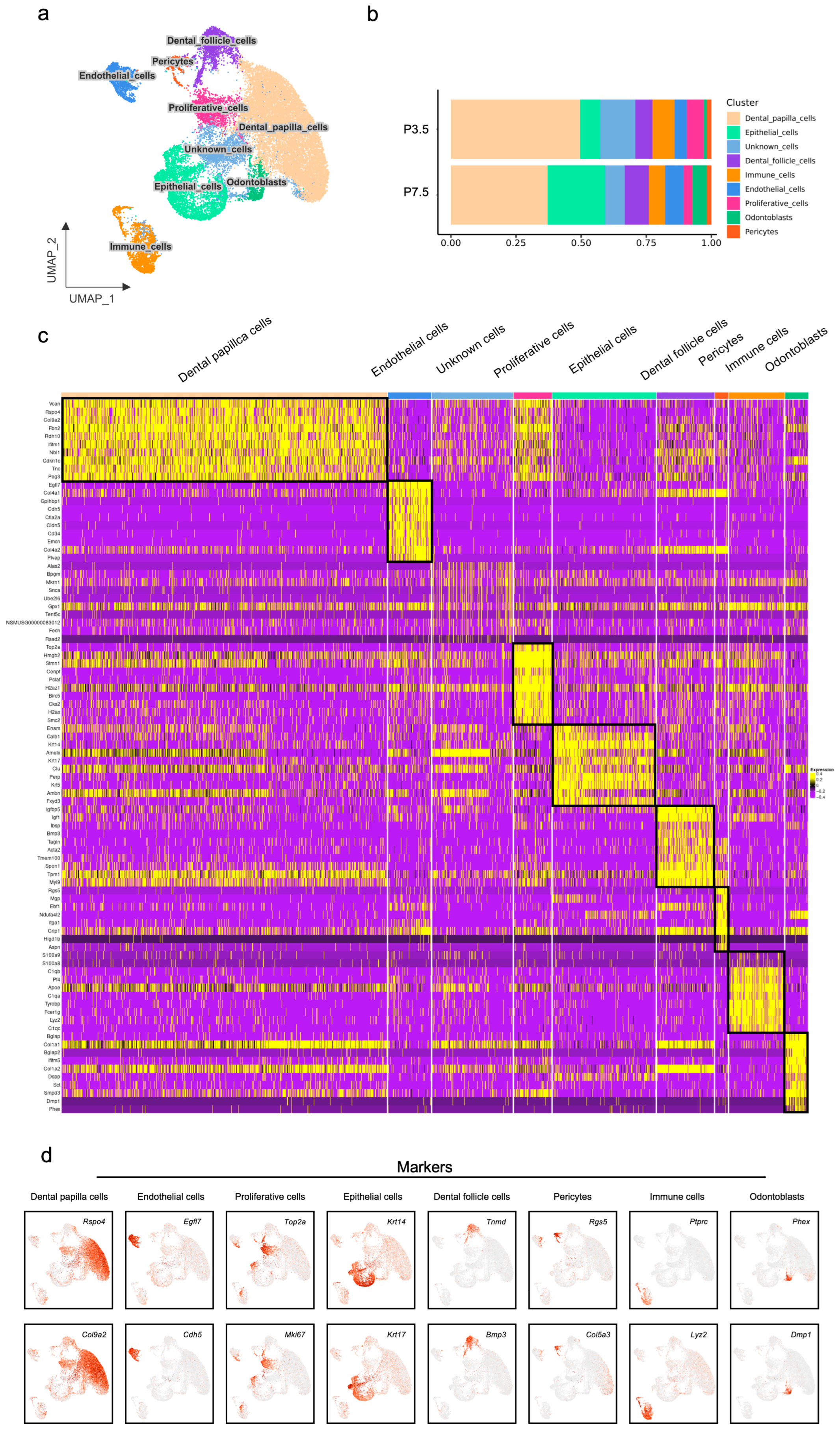A Single-Cell Transcriptomic Atlas of Epithelial Cell Heterogeneity ...