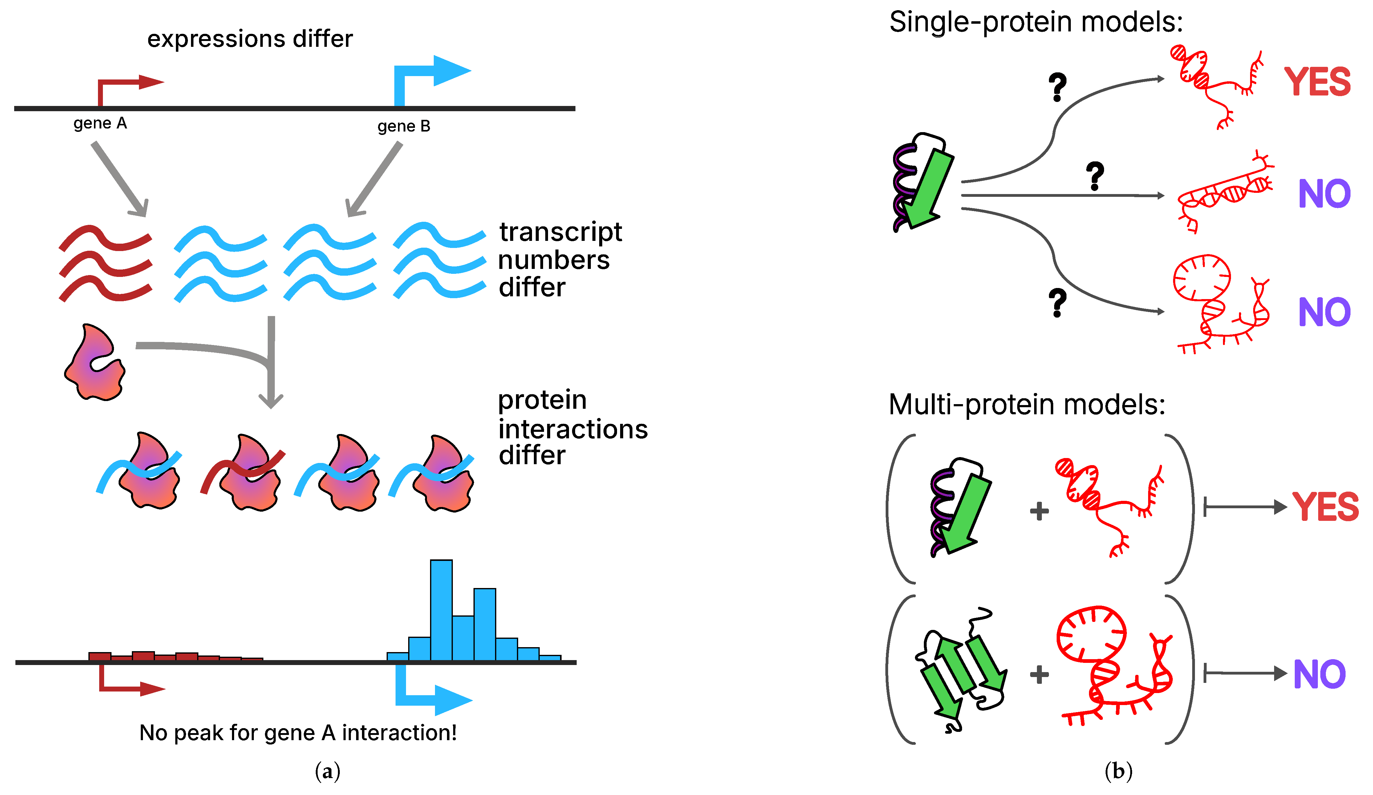 Sequence-Based Models for RNA–Protein Interactions Imputation Might Be ...