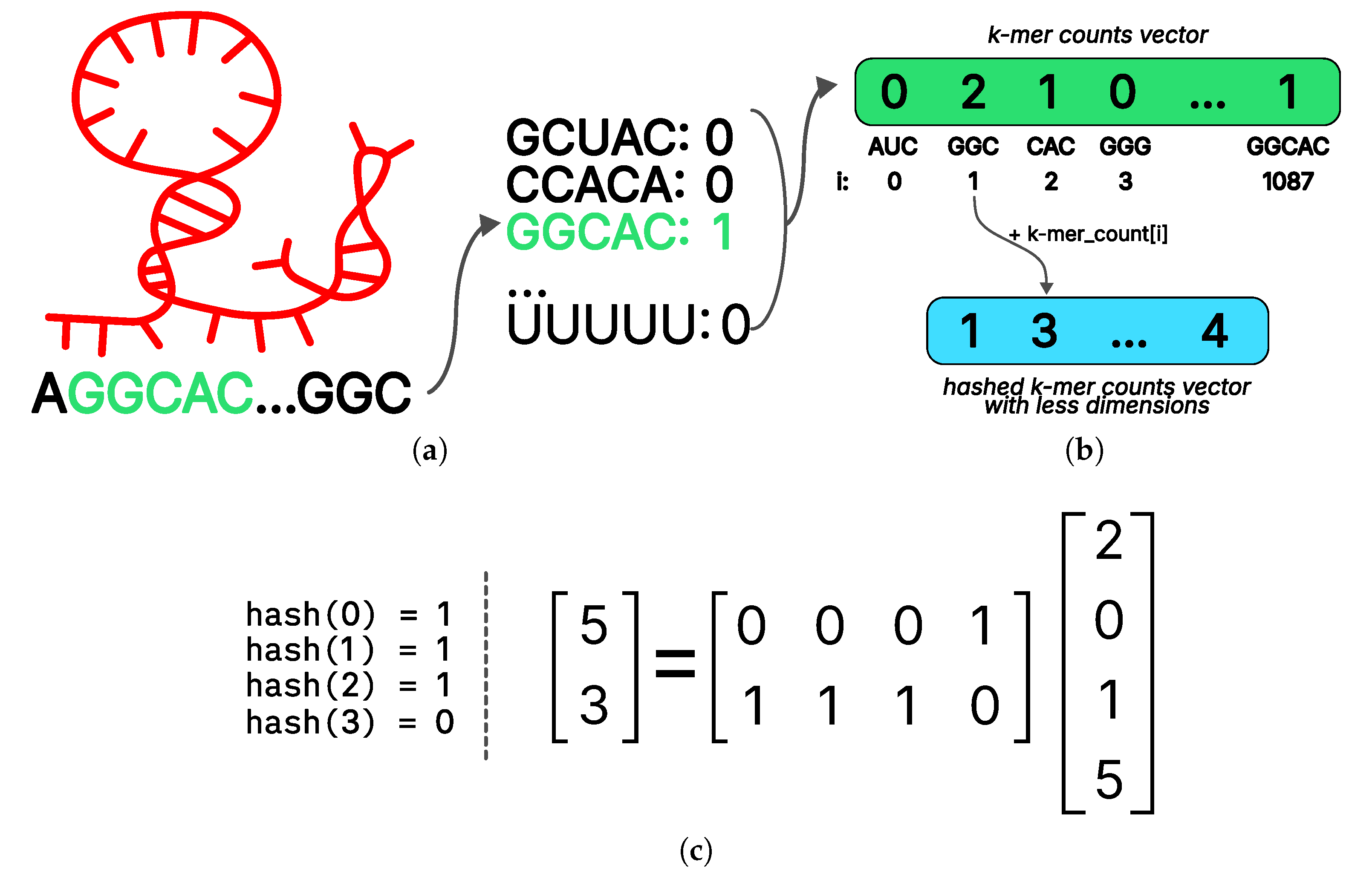 Sequence-Based Models for RNA–Protein Interactions Imputation Might Be ...