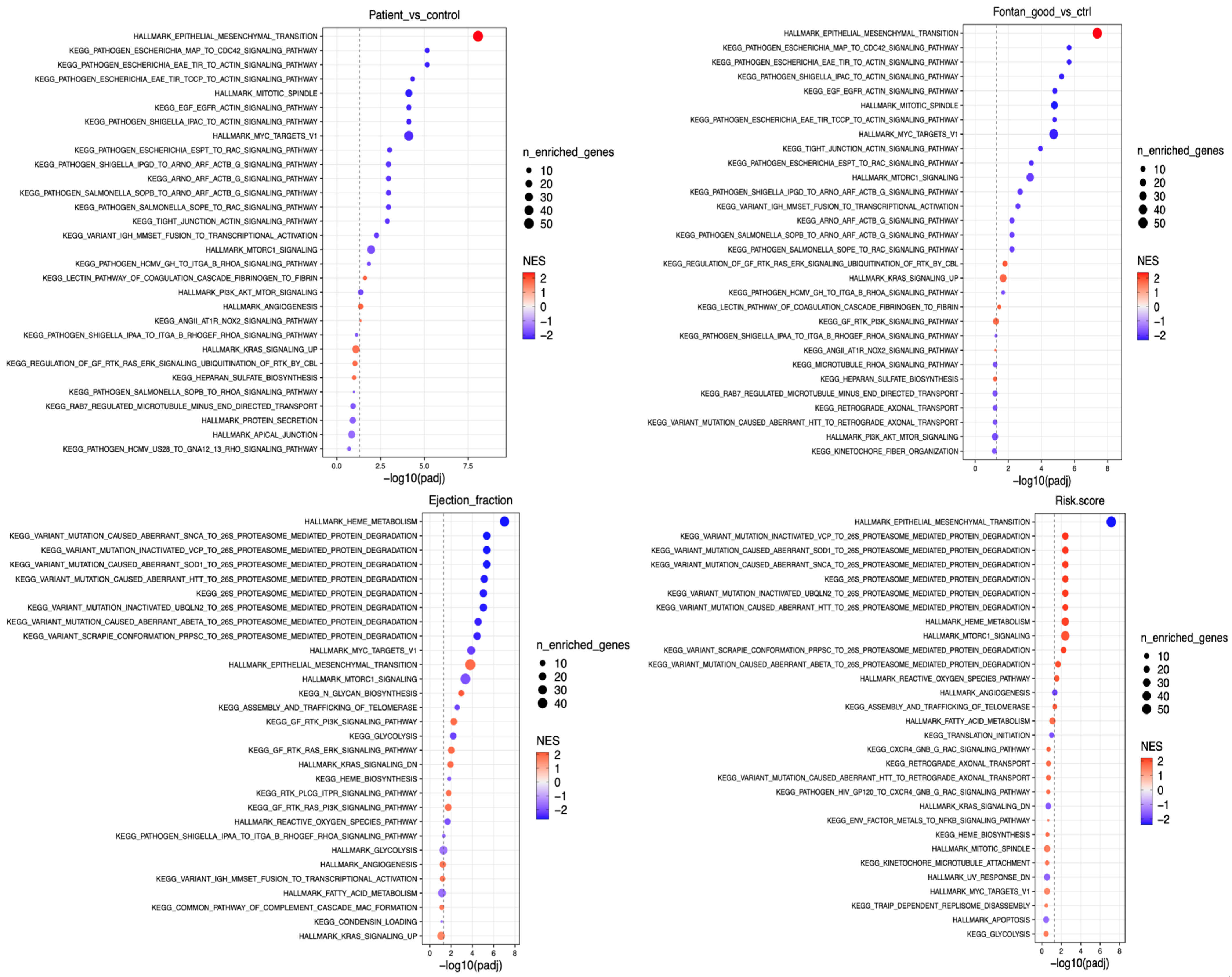 Untargeted Serum Proteomics in the Fontan Circulation Reveals Three ...