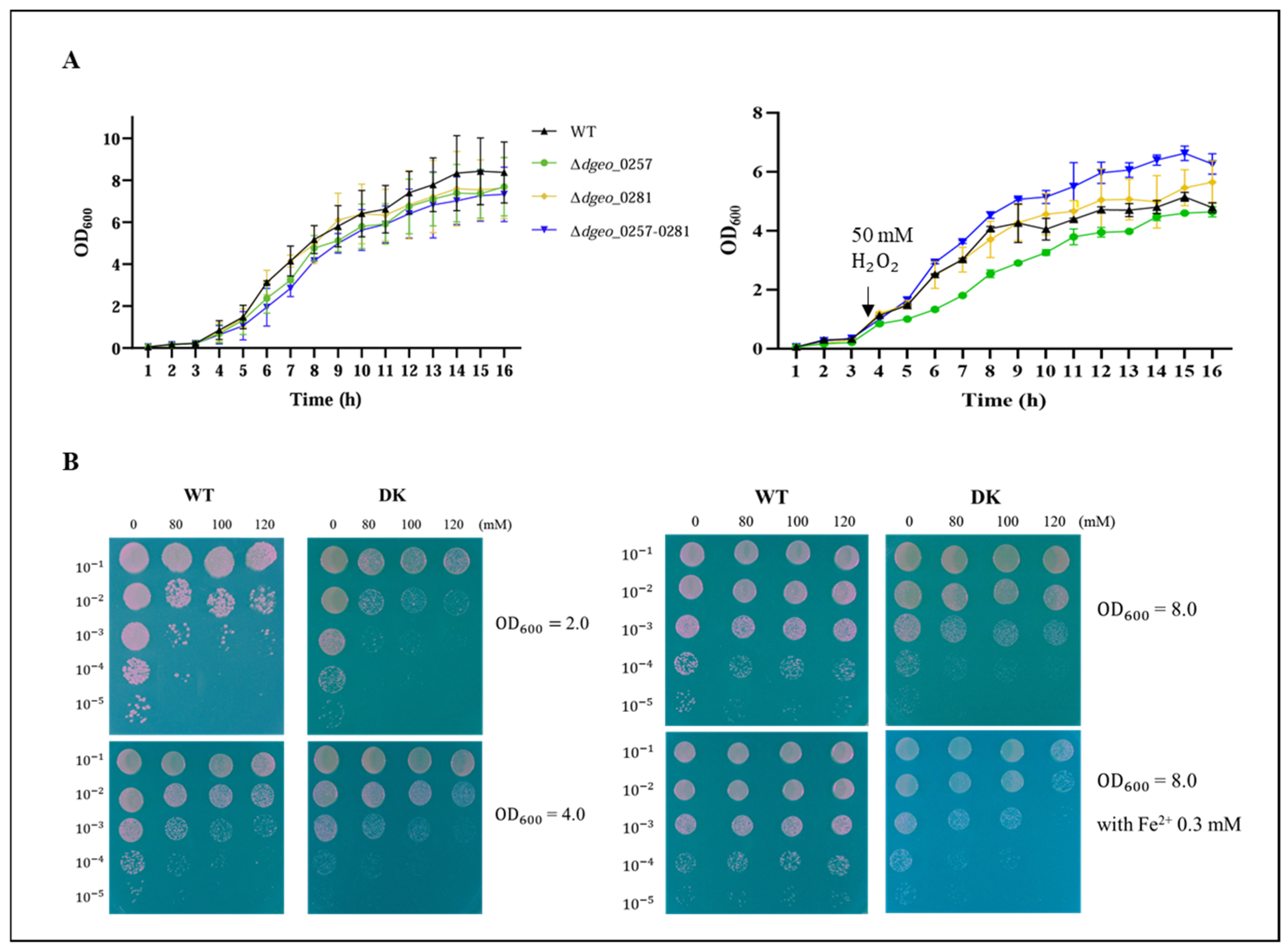 Physiological Changes and Transposition of Insertion Sequences in the ...