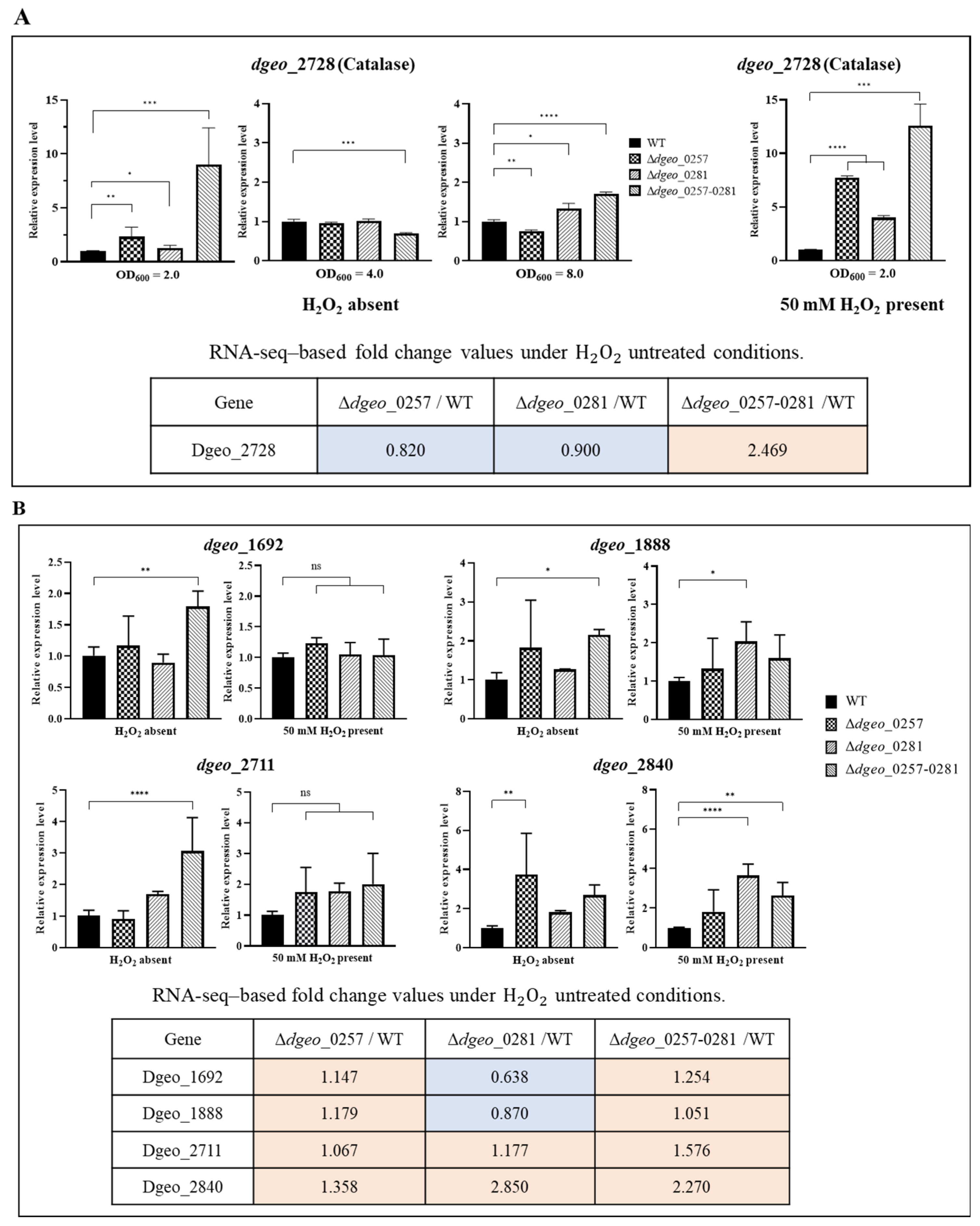 Physiological Changes and Transposition of Insertion Sequences in the ...