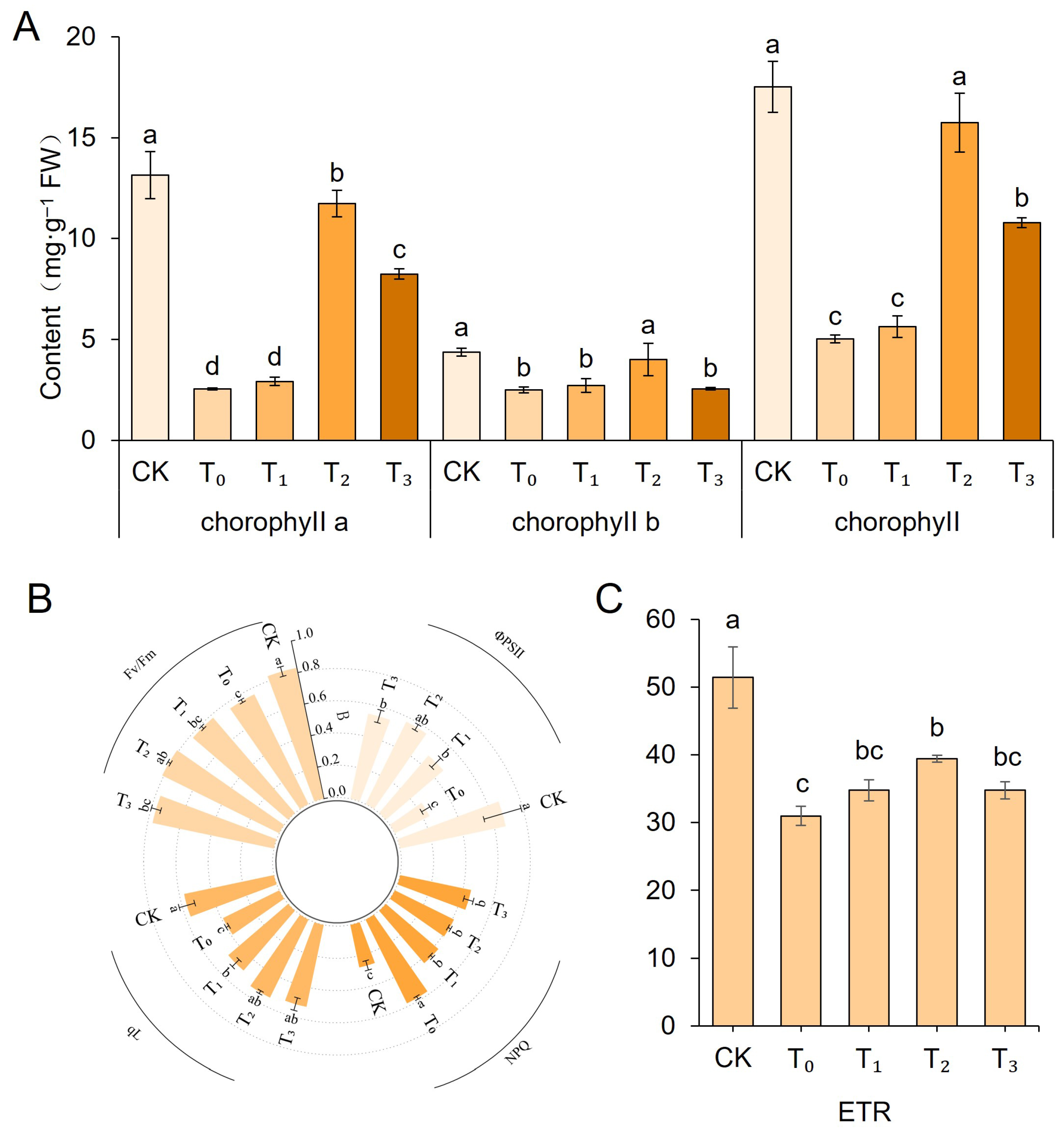 Exogenous Melatonin Enhances the Salt Tolerance of Celery (Apium ...