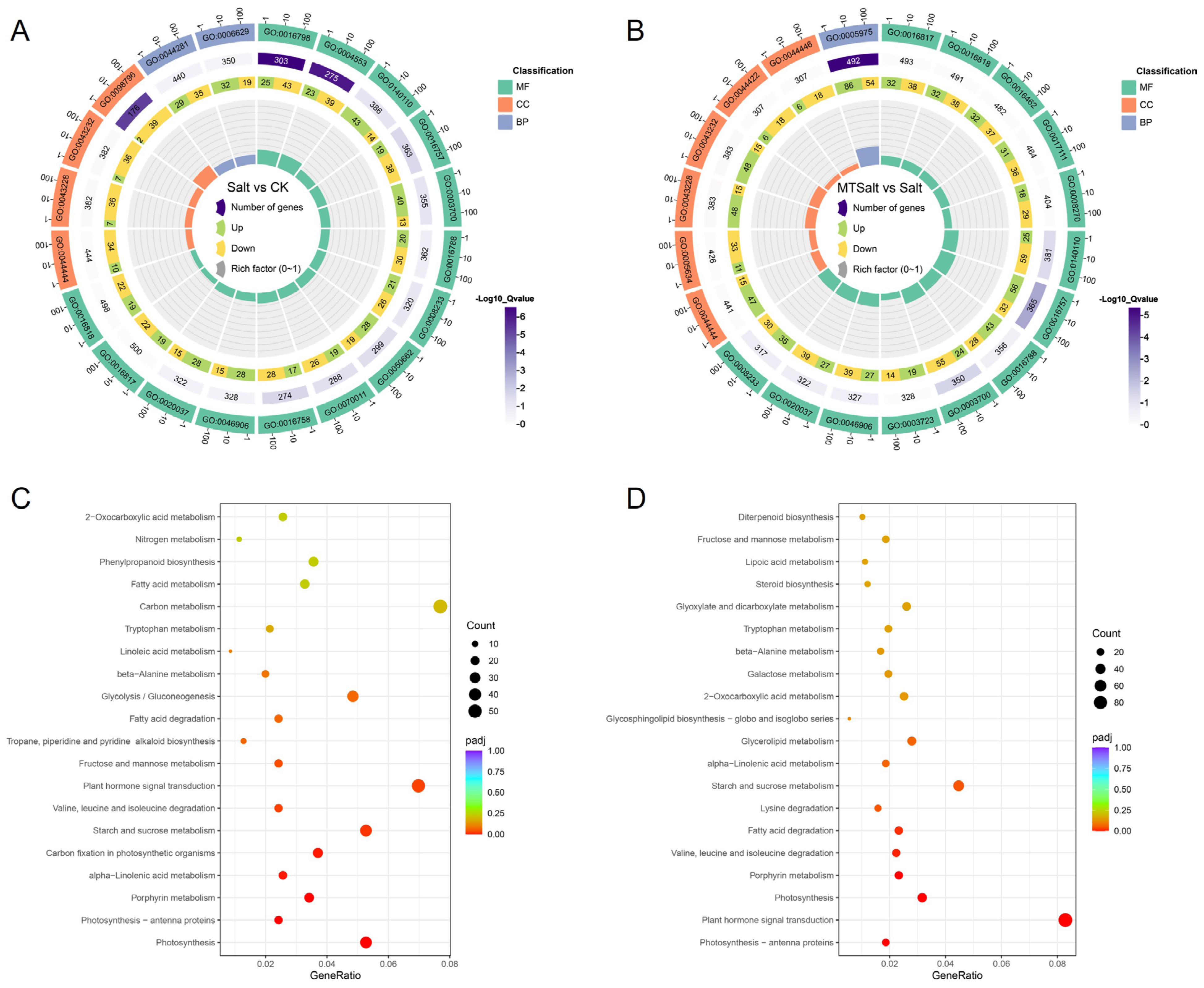 Exogenous Melatonin Enhances the Salt Tolerance of Celery (Apium ...