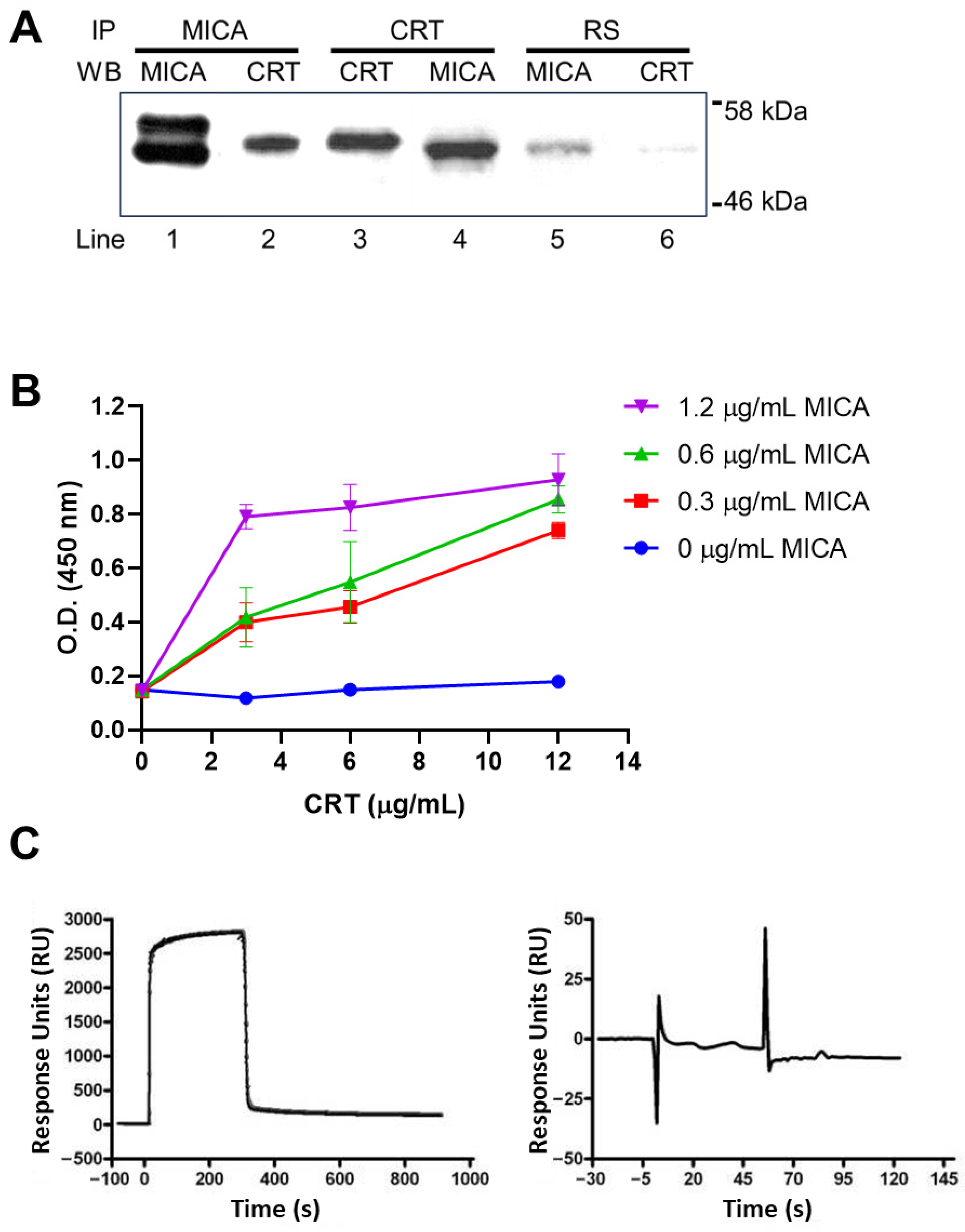 Calreticulin-Mediated Quality Control of the Non-Classical MHC-I ...