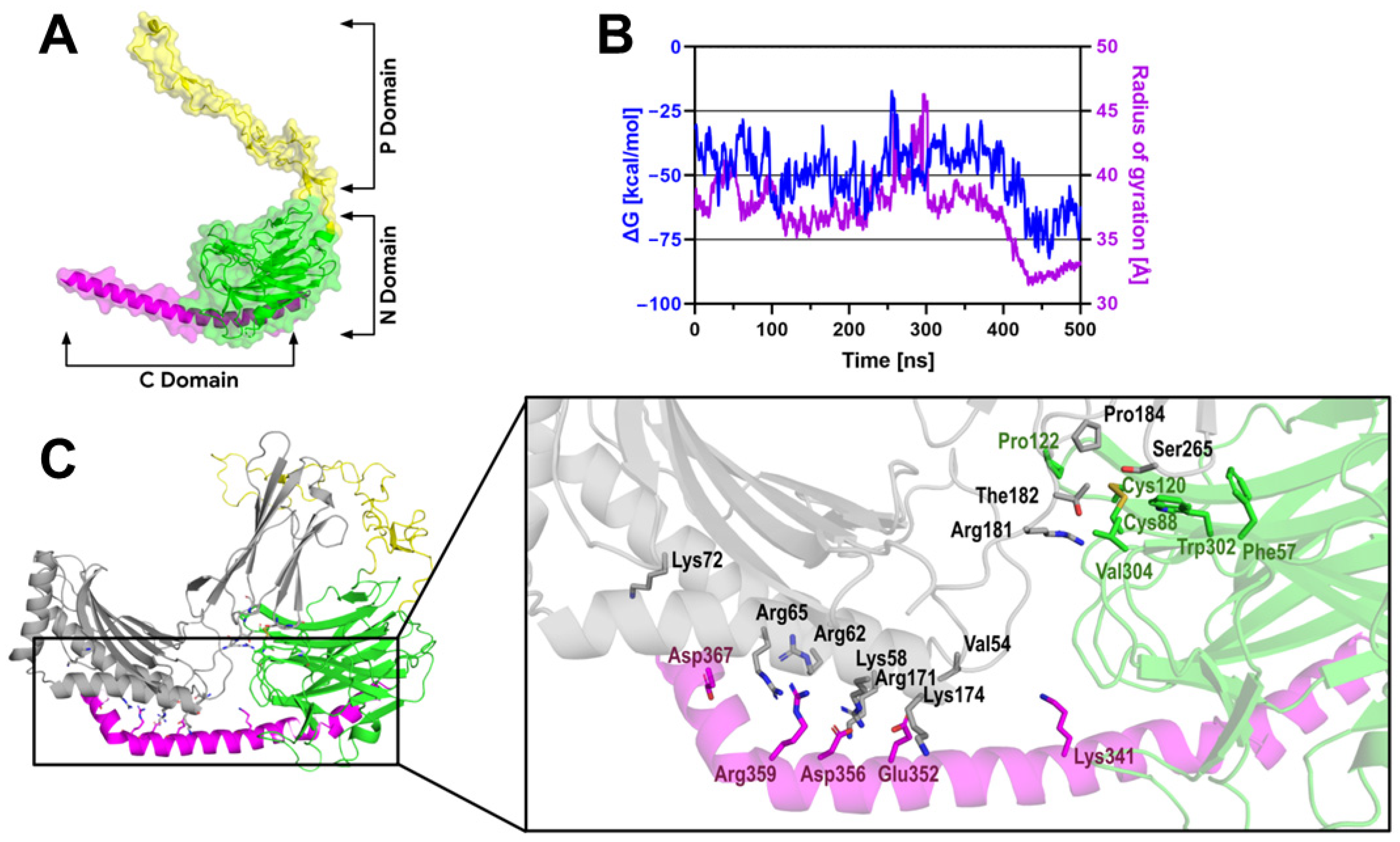 Calreticulin-Mediated Quality Control of the Non-Classical MHC-I ...