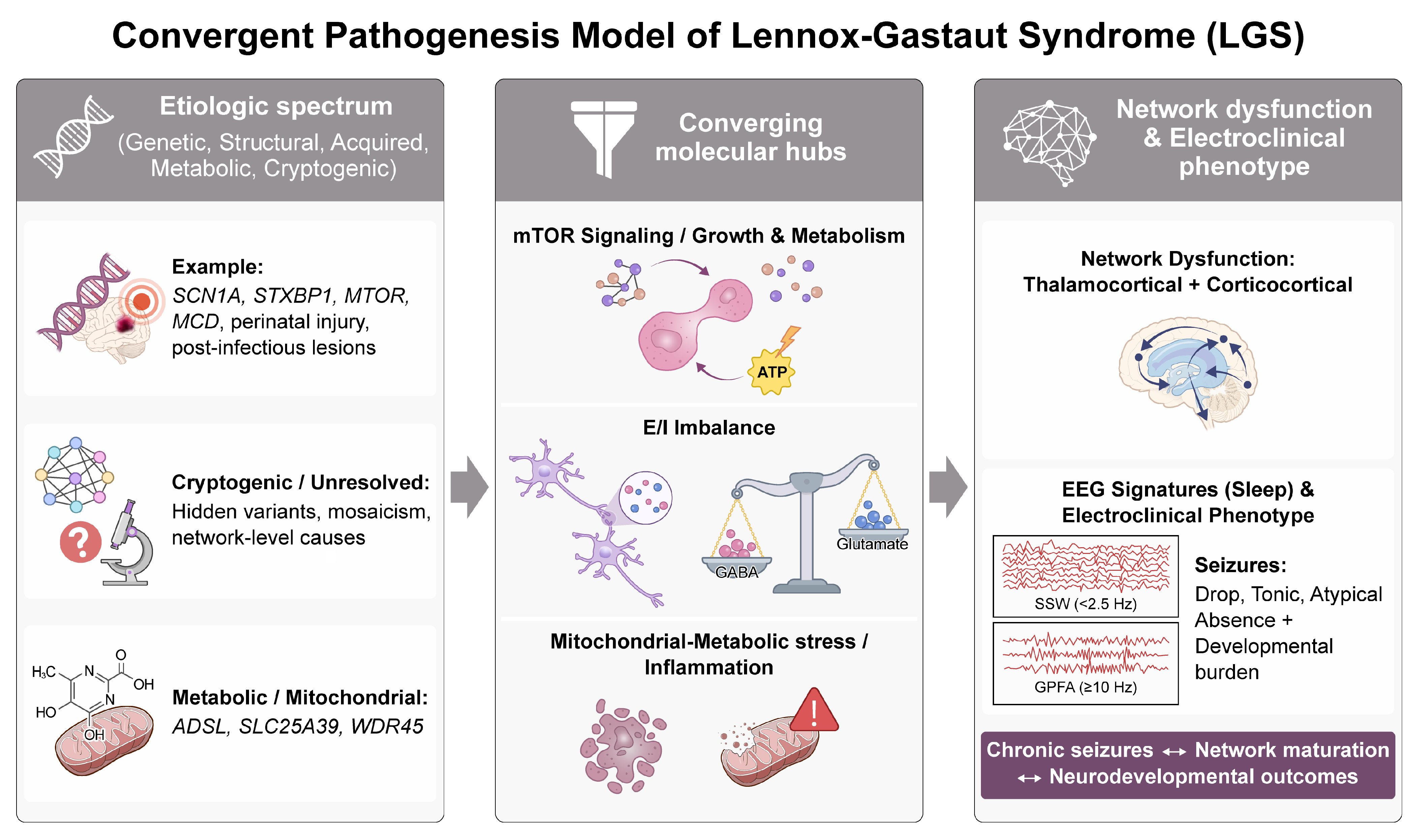 Unraveling Lennox–Gastaut Syndrome: From Molecular Pathogenesis to ...