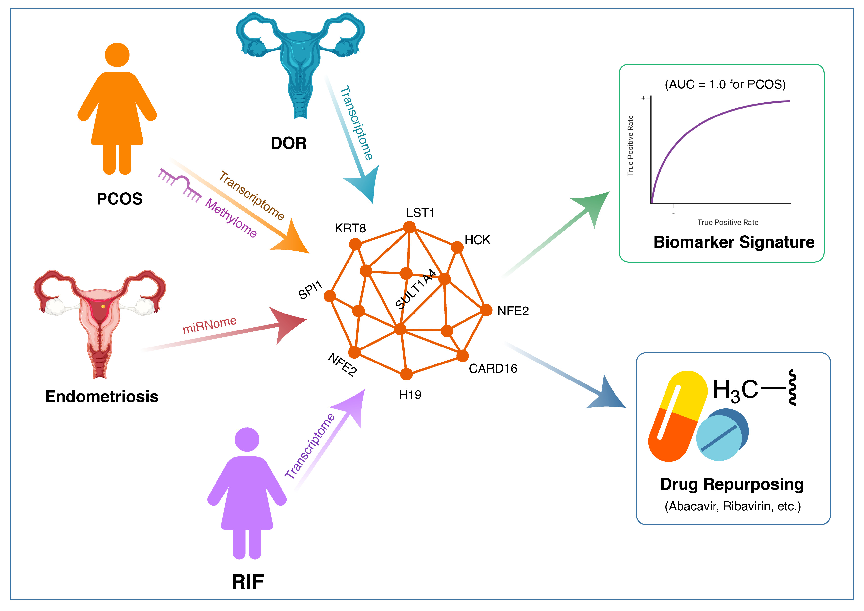 Epigenetic Landscape of Female Infertility: An Integrated ...