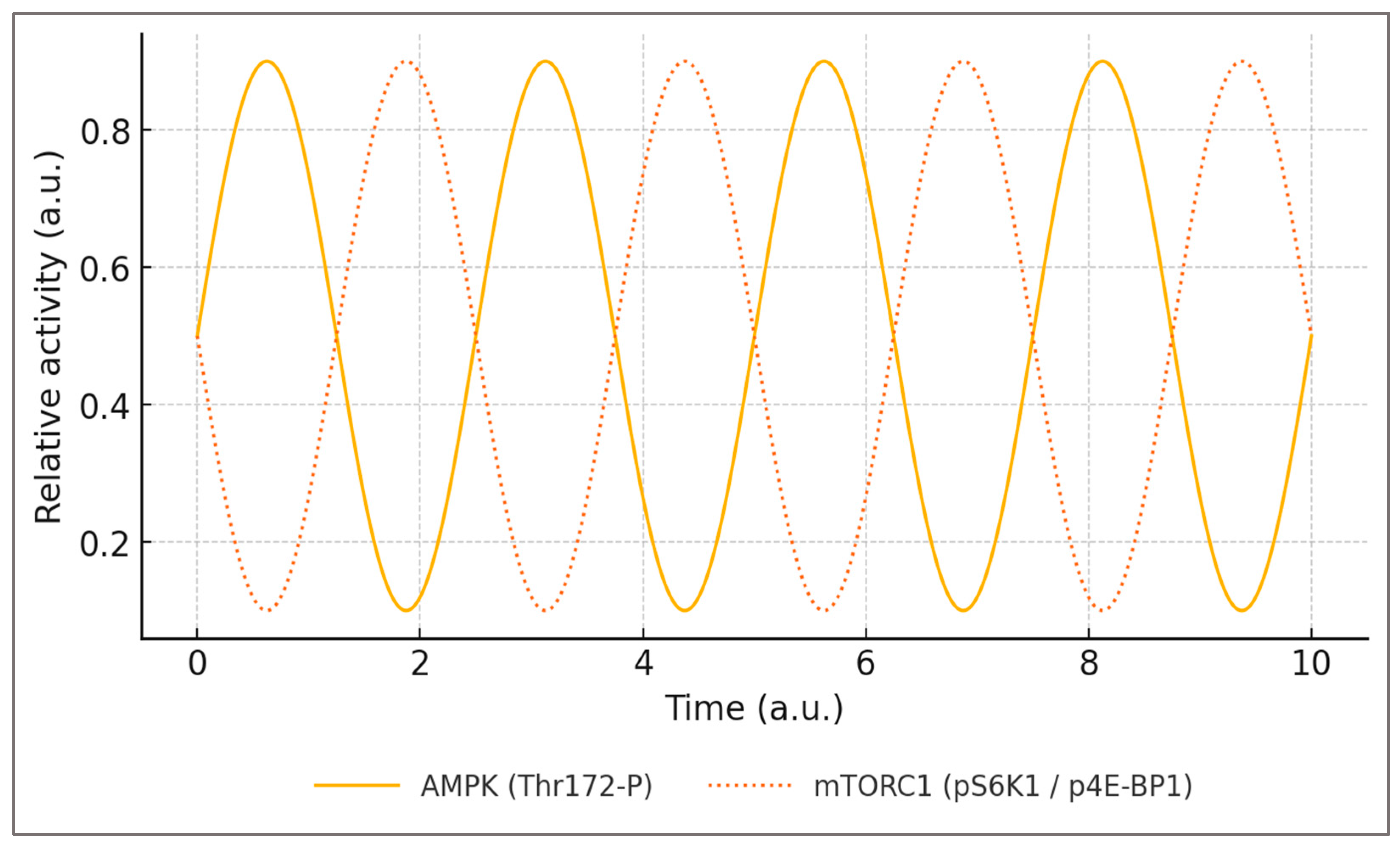 Metabolic Overdrive in Elite Sport: A Systems Model of AMPK–mTOR ...
