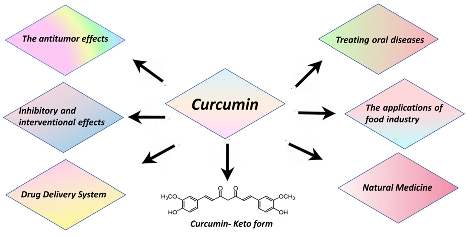 Curcumin as a Multi-Target Bioactive Molecule: Mechanistic Insights and ...