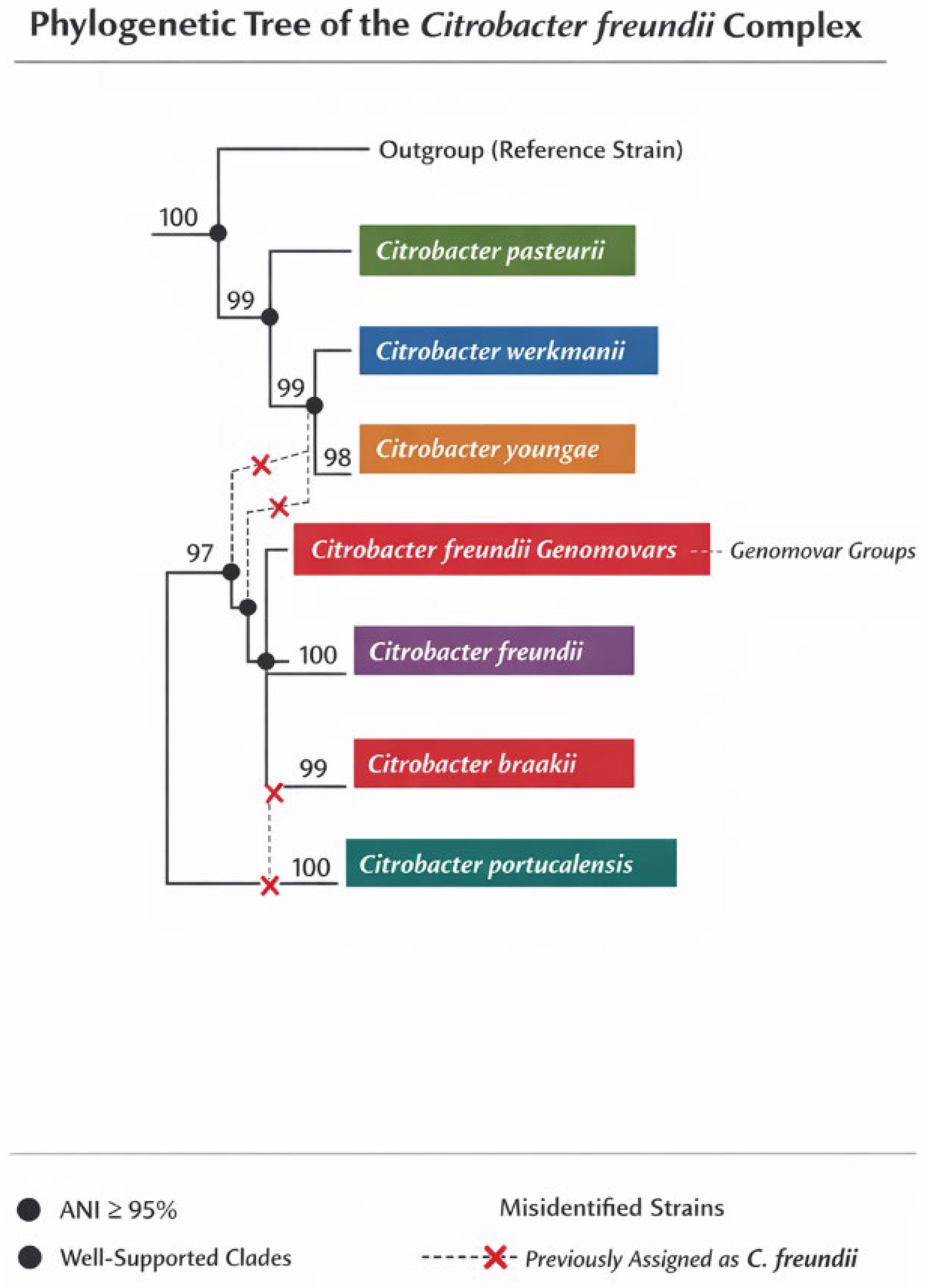 The Citrobacter freundii Complex as an Emerging Pathogen: Genomic ...
