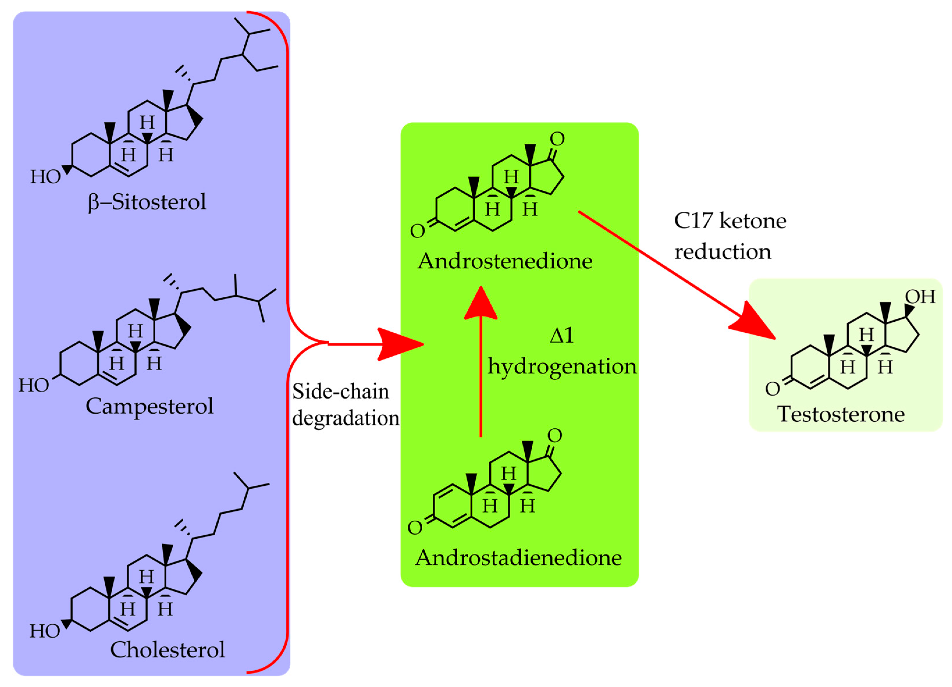 Toward Sustainable Testosterone Manufacturing: Green Chemistry and ...