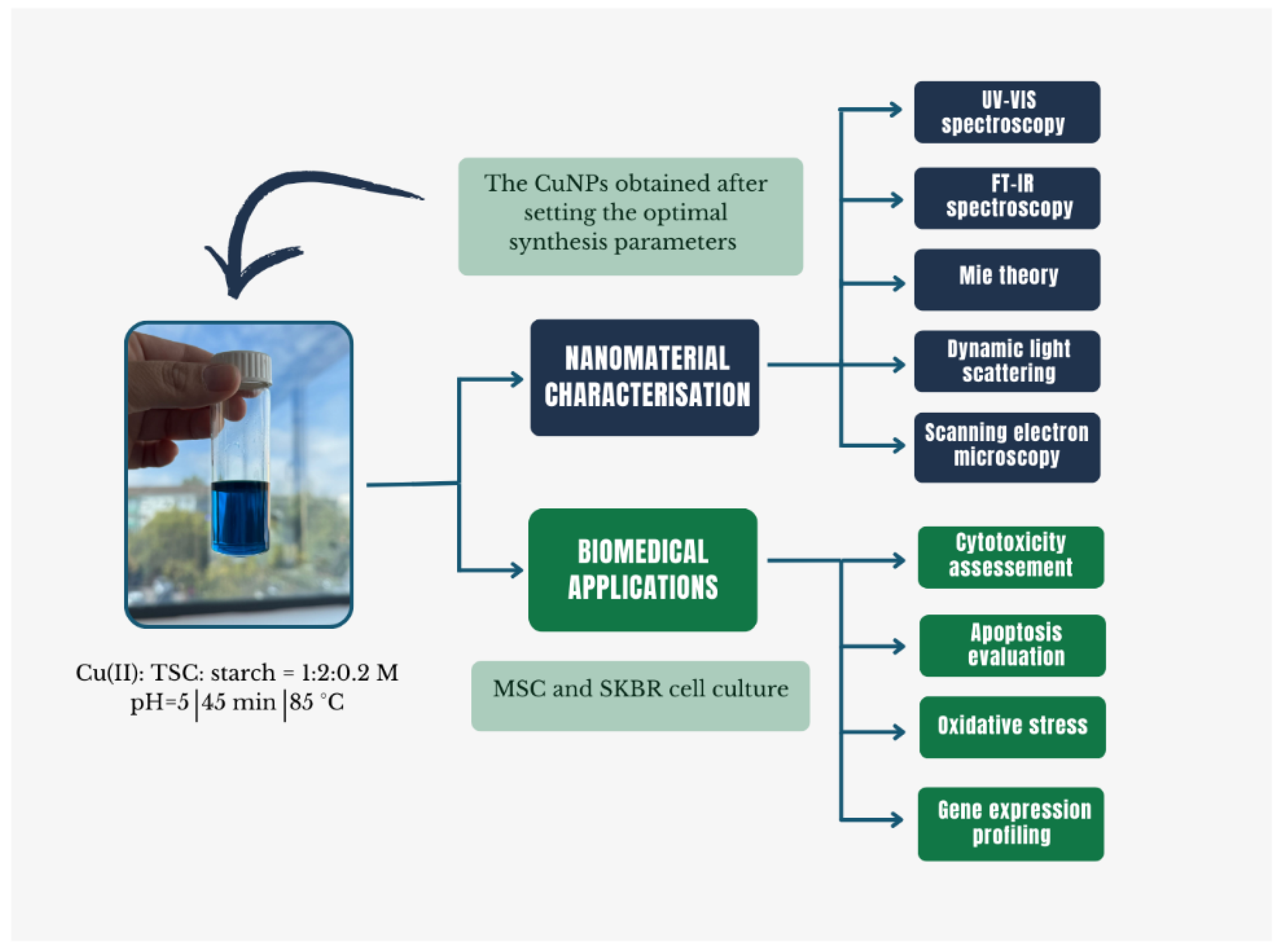 A Novel Green Synthesis Method of Copper Nanoparticles and Their ...