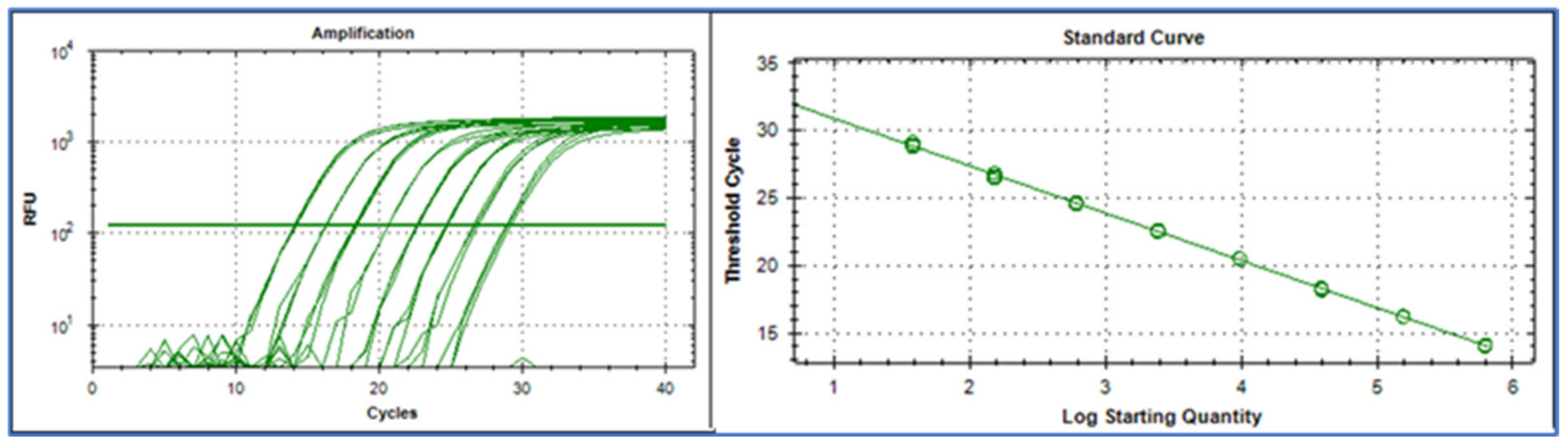 Understanding the qPCR Standard Curve: From Assay Validation to ...