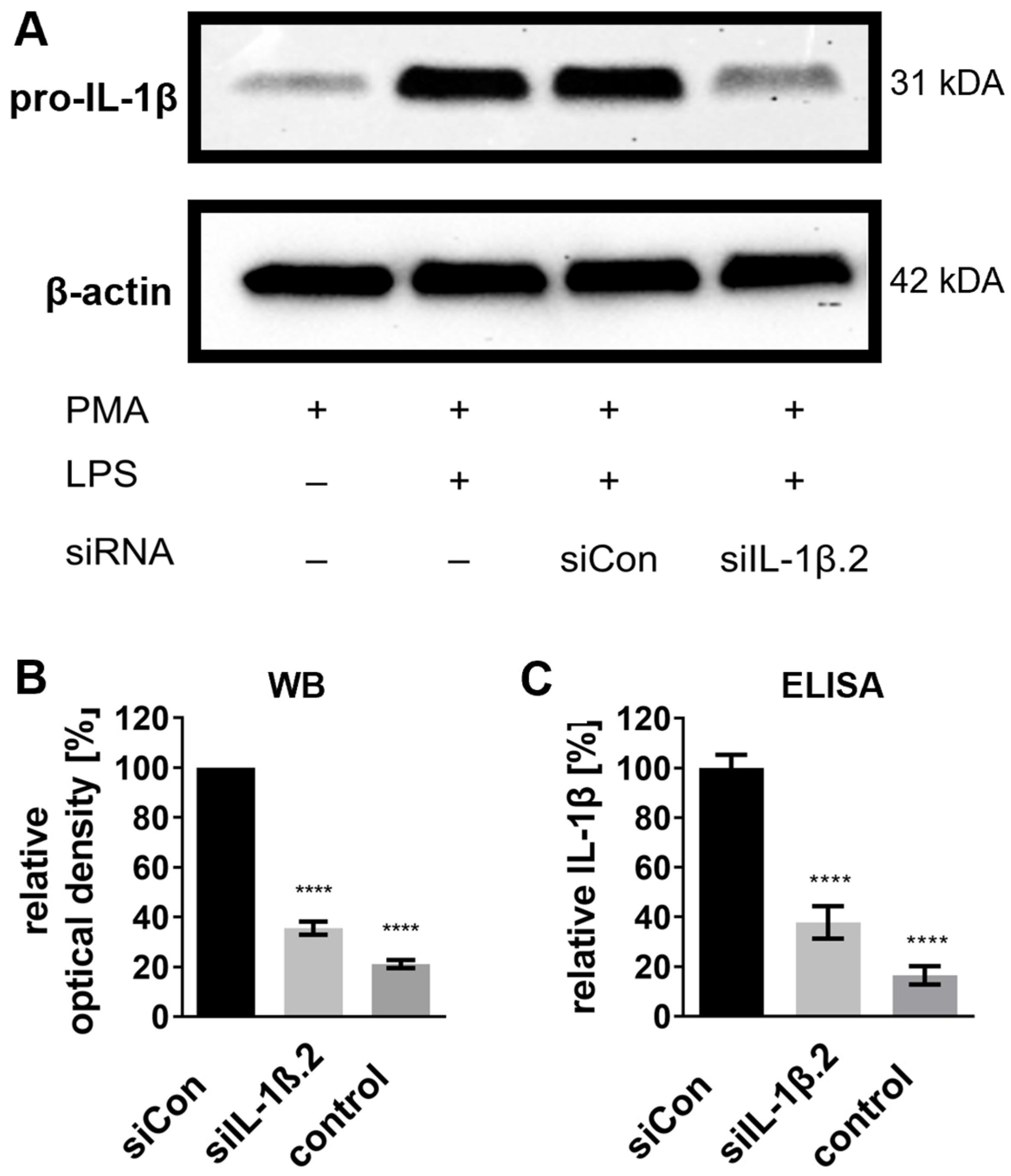 Functional siRNA Delivery via Jet Nebulization: Proof-of-Concept IL-1ß ...