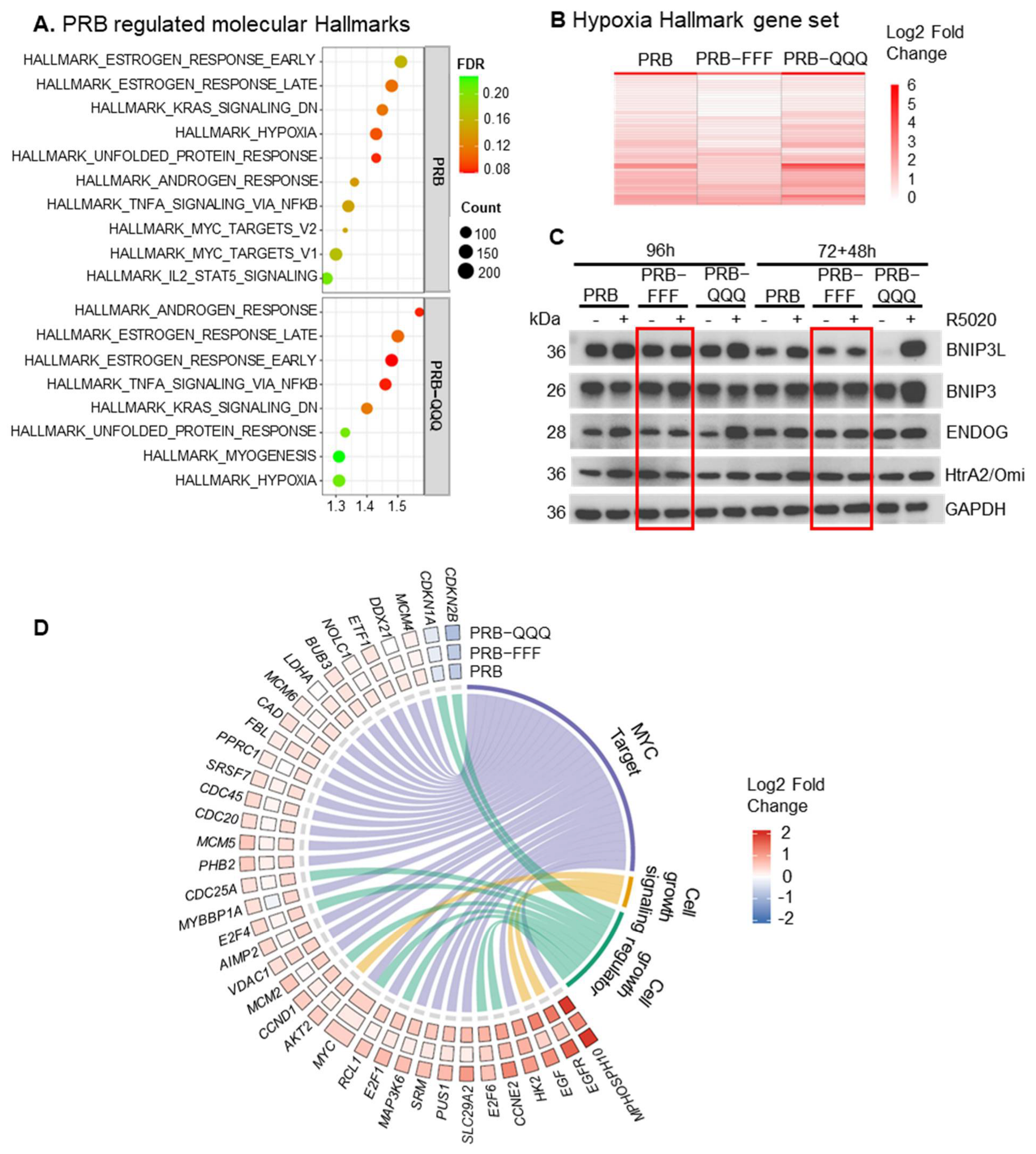 Ligand-Dependent and -Independent Functions of Activation Function 1 of ...