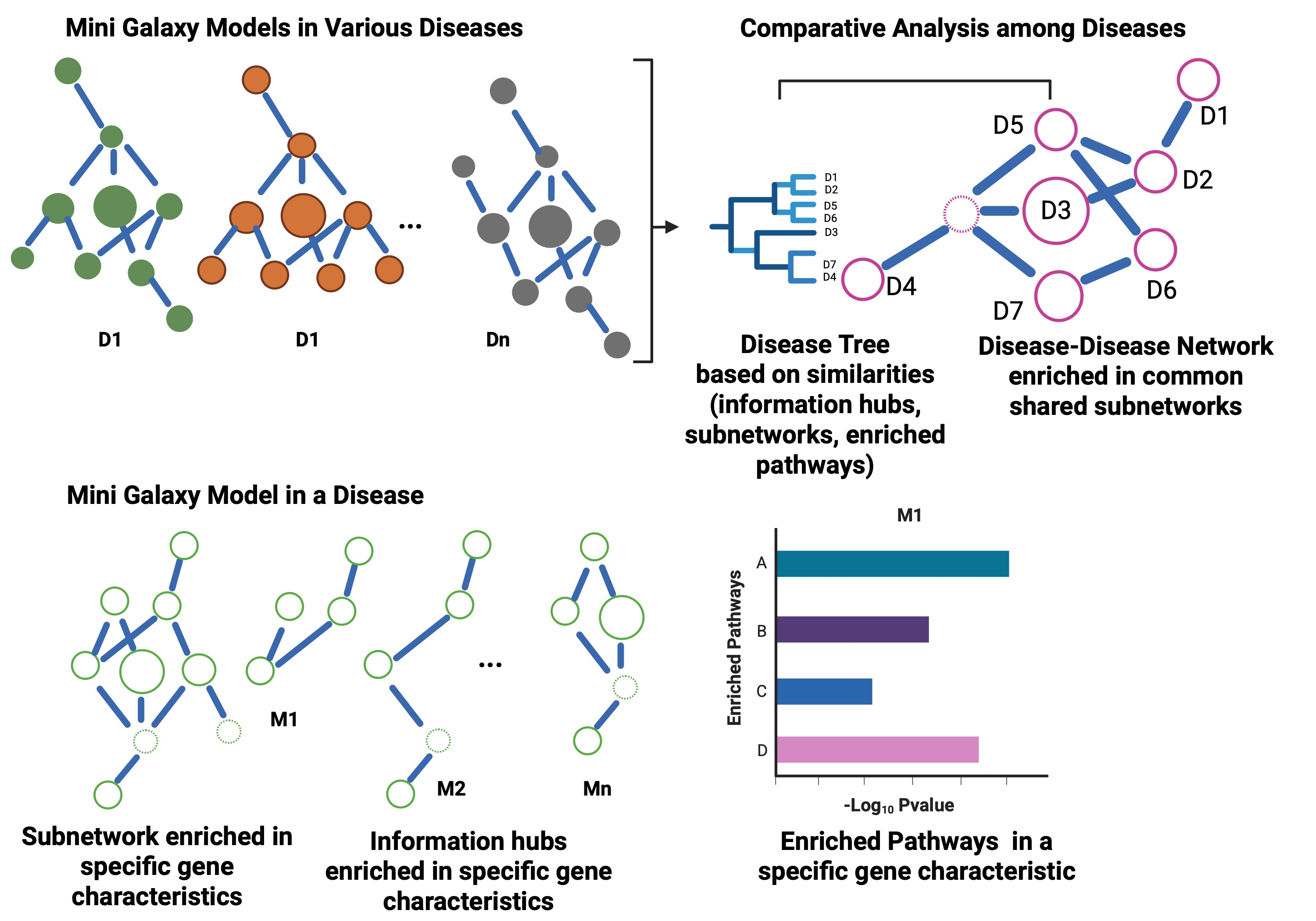 Mini-Galaxy: Rethinking Complex Human Diseases Through the Lens of ...