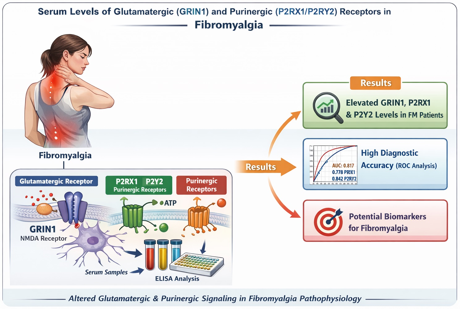 Serum Levels of Glutamatergic (GRIN1) and Purinergic (P2RX1/P2RY2 ...