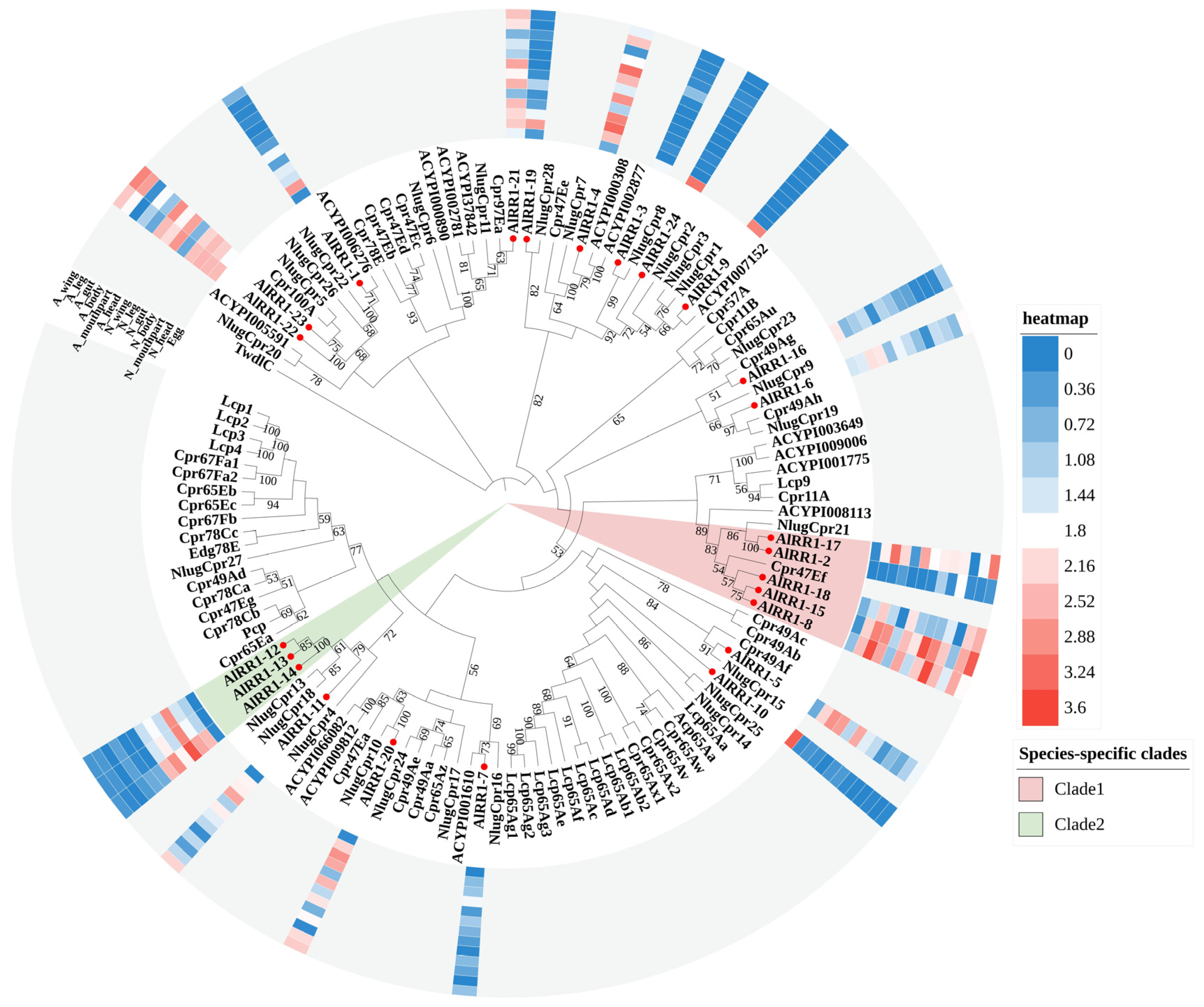 Identification and Characterization of Cuticular Proteins in the ...