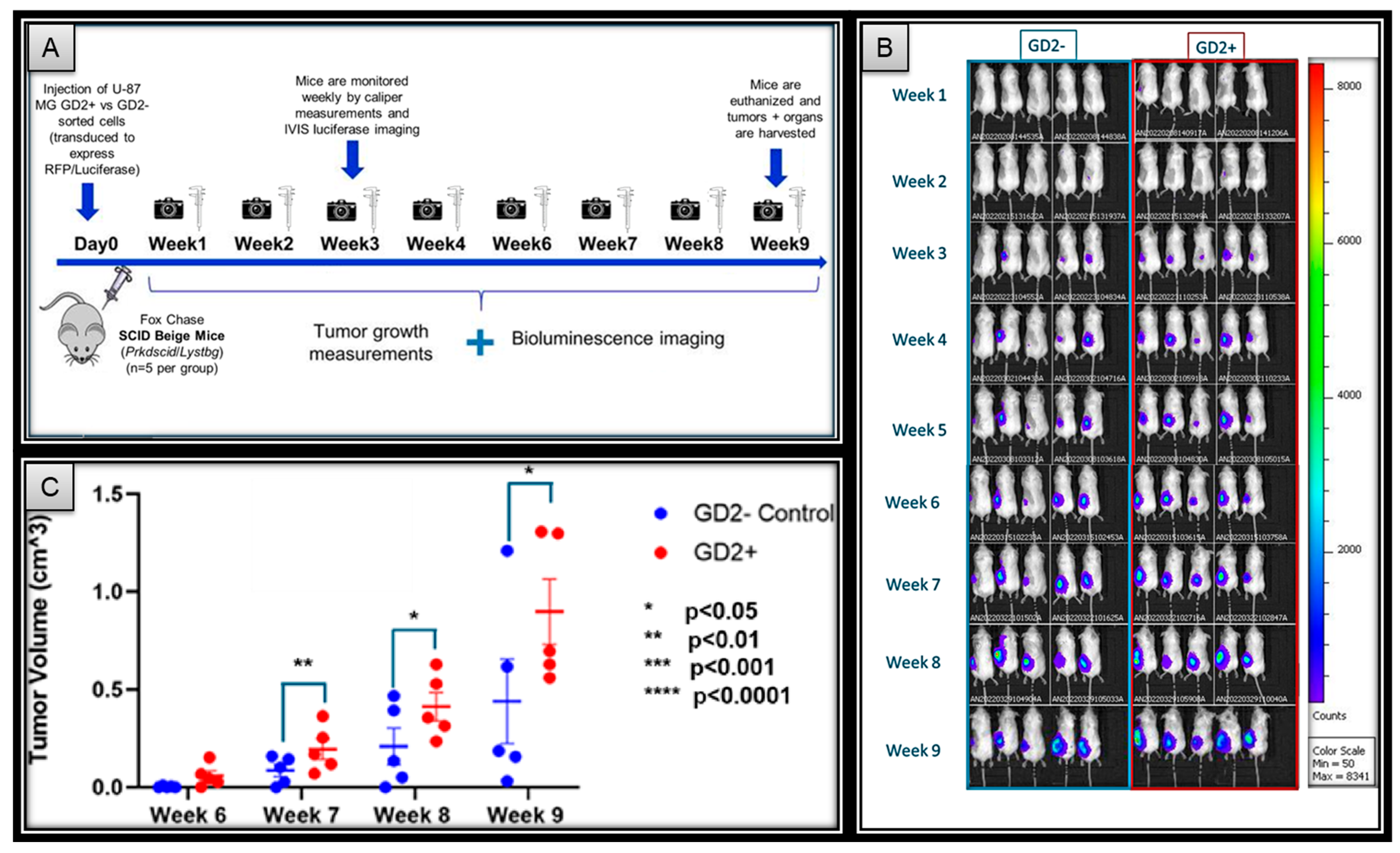 GD2 Identifies Cancer Stemness in Glioblastoma and Phytoalexin Library ...