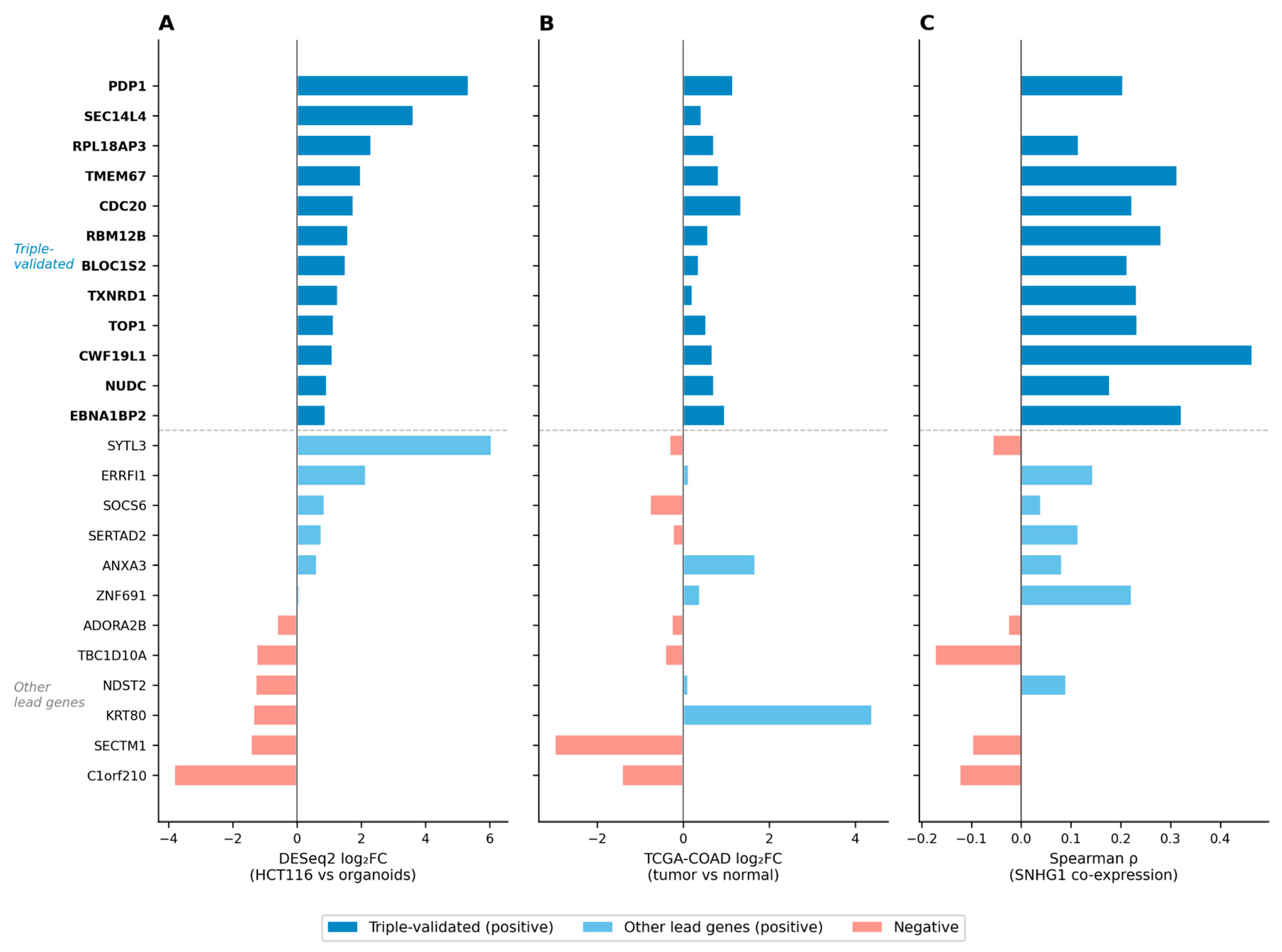 Integrative Mapping of SNHG1 RNA–Chromatin Contacts onto the Cancer ...