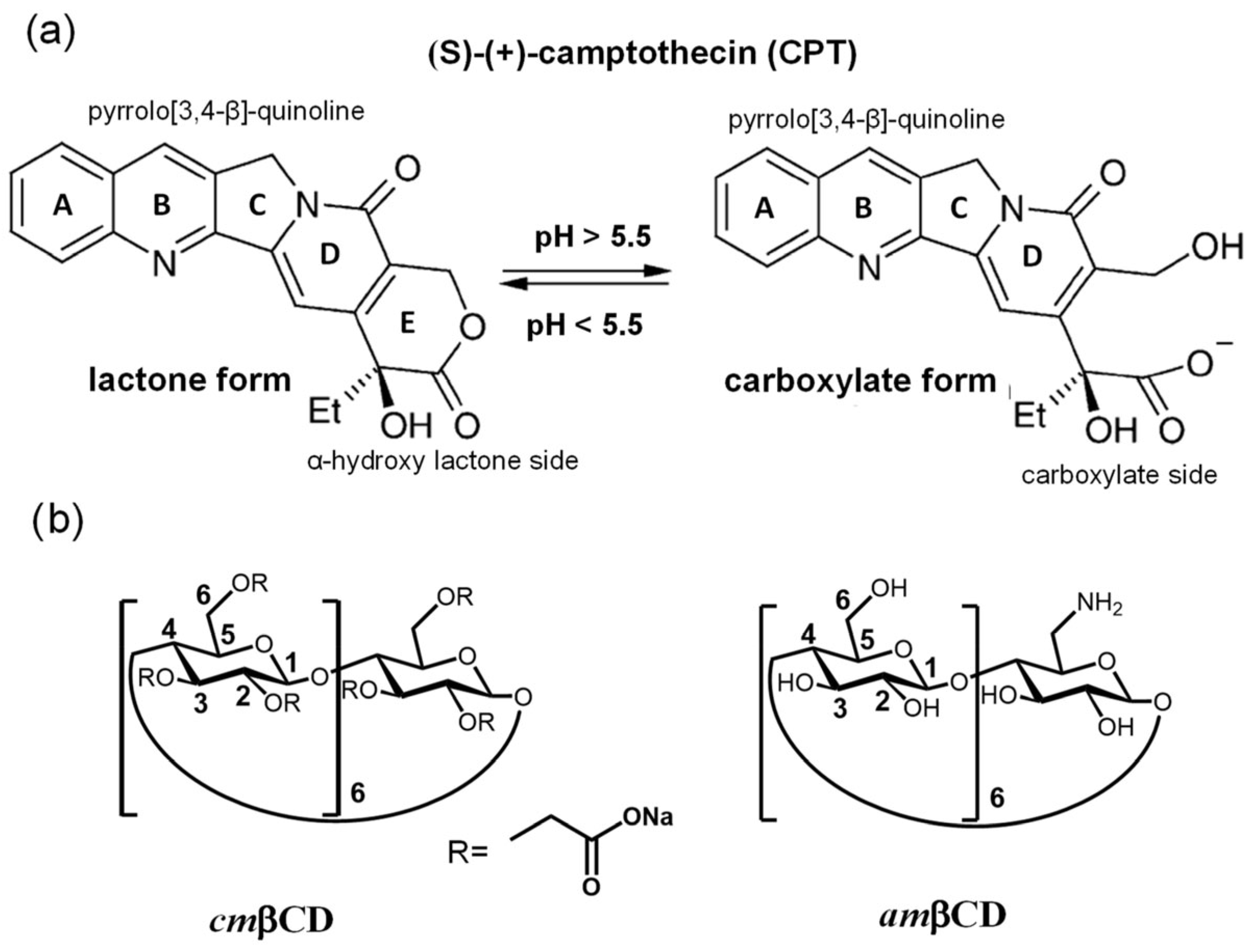 Liposomal Encapsulation of Camptothecin/Carboxymethyl-β-Cyclodextrin ...