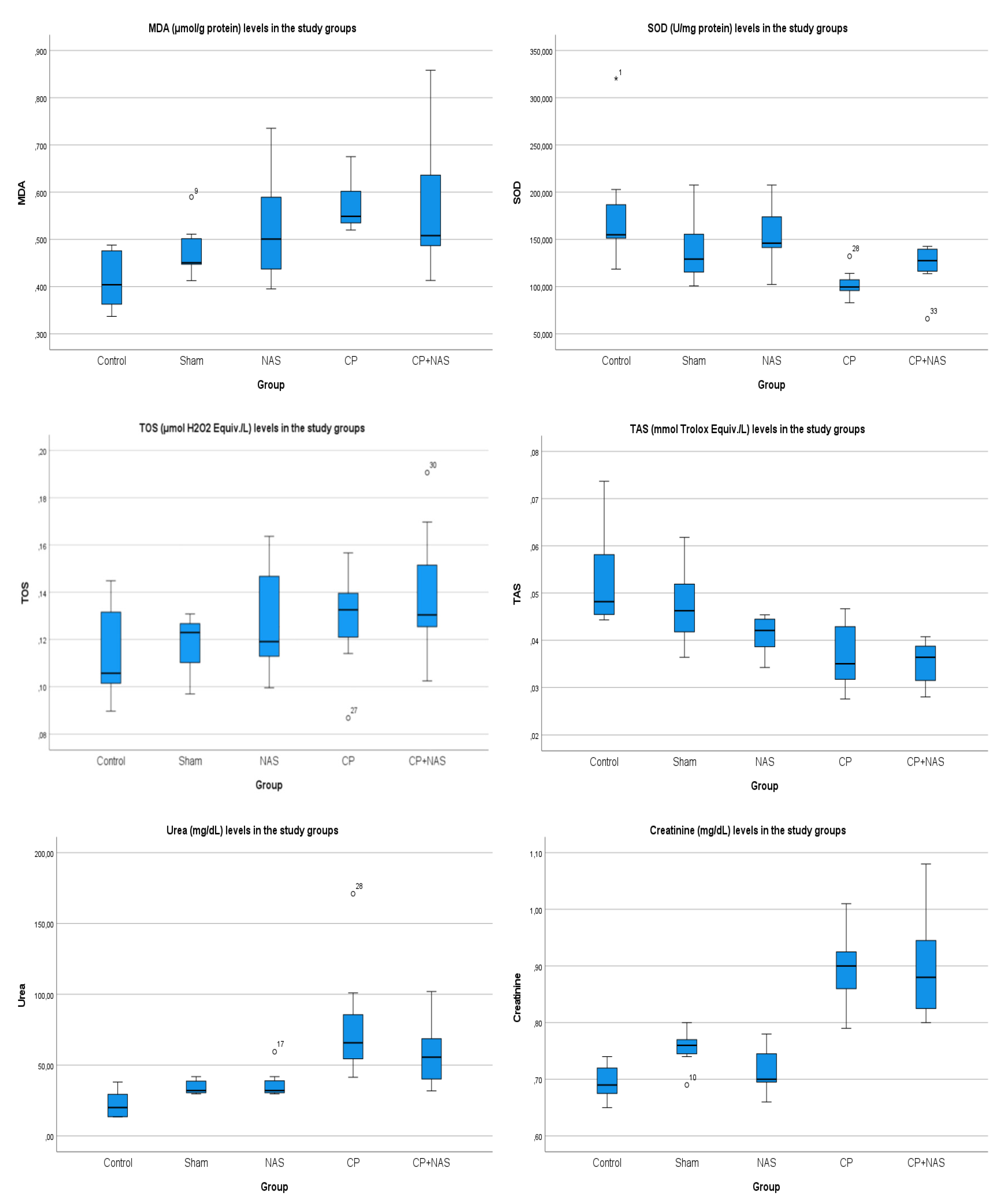 The Protective Effects of N-Acetylserotonin Against Cisplatin-Induced ...
