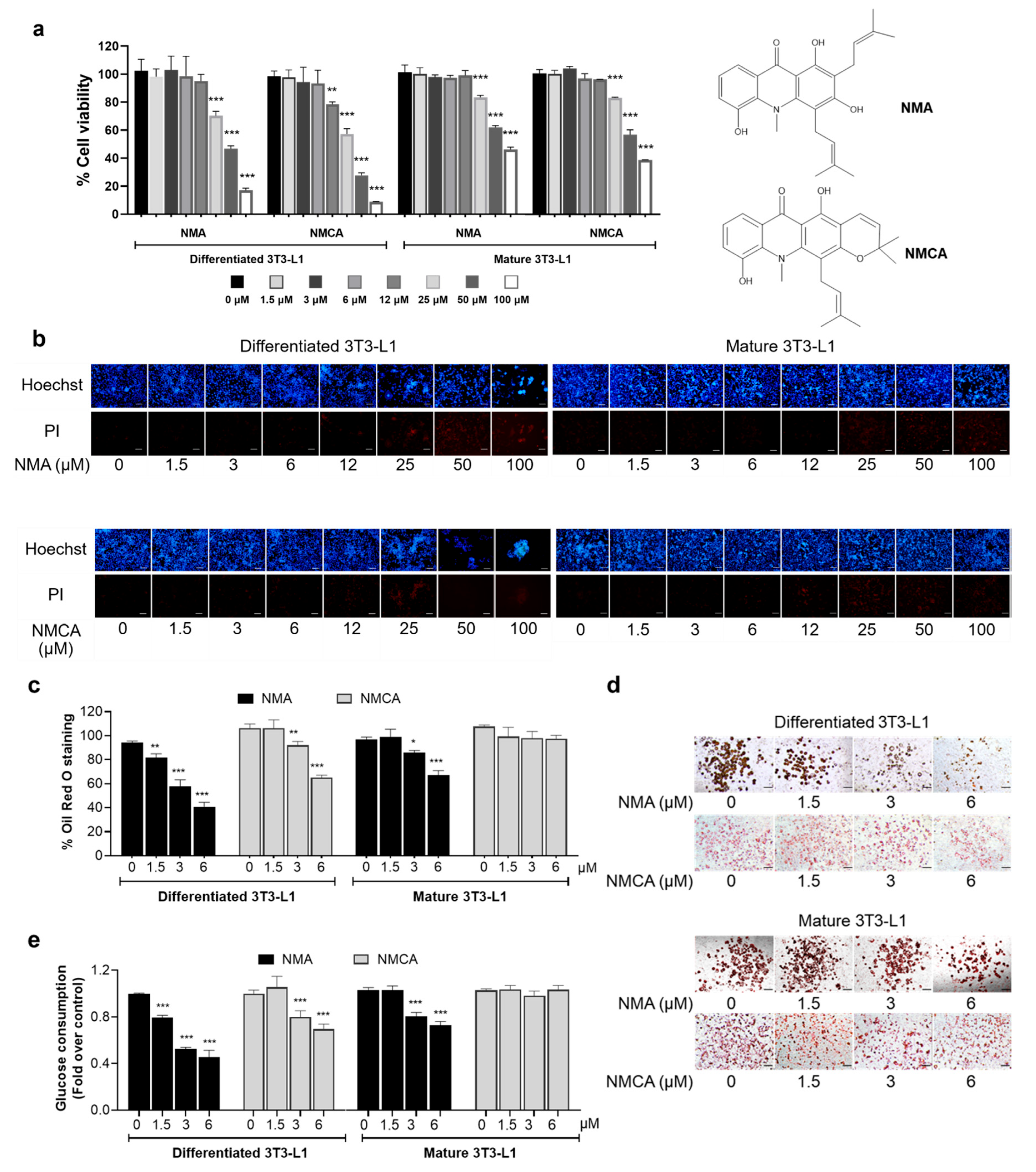 Anti-Adipogenic Effects of N-Methylatalaphylline in 3T3-L1 Cells ...