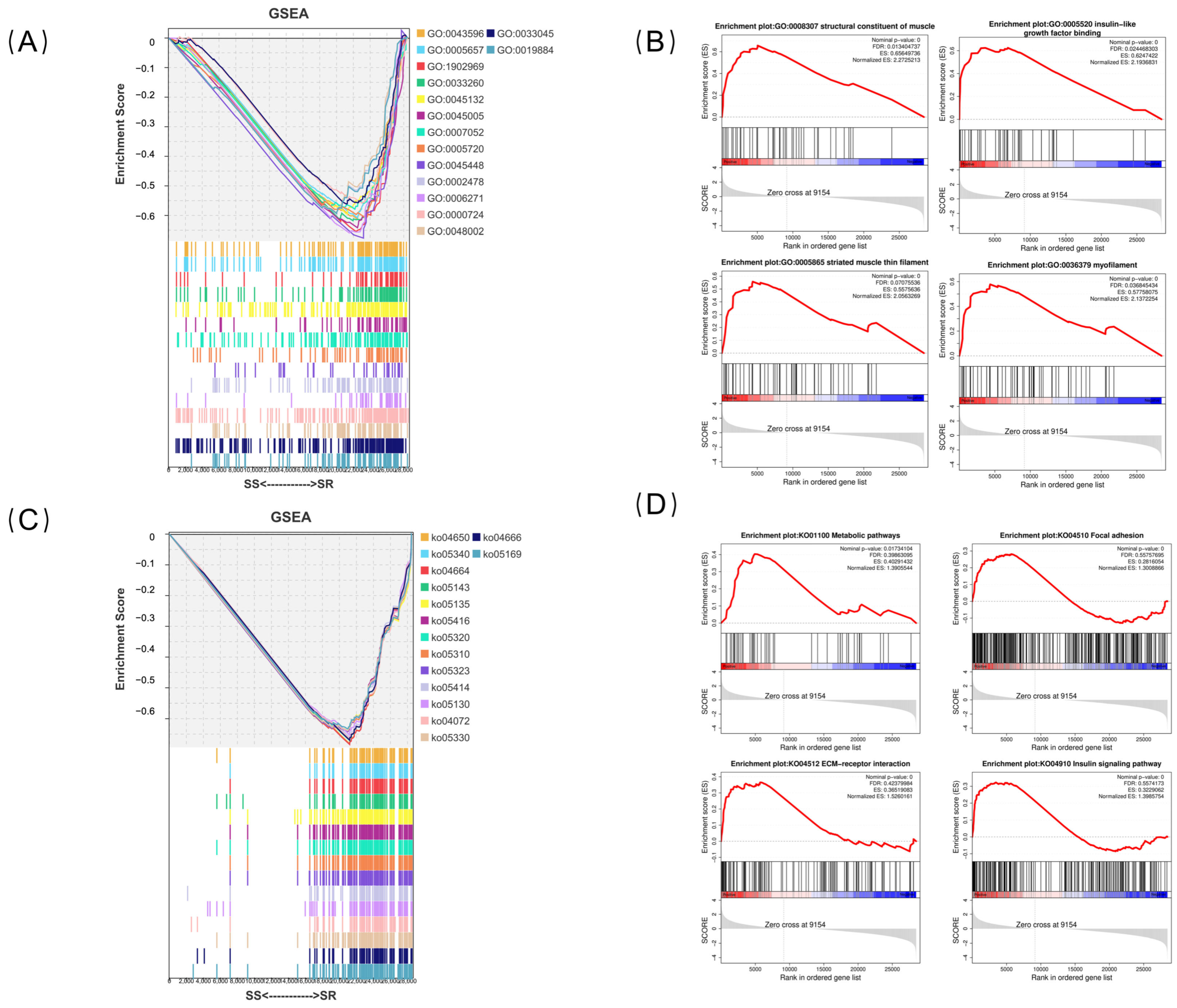 An Integrative ATAC-Seq and RNA-Seq Analysis of Spleen Tissues from ...