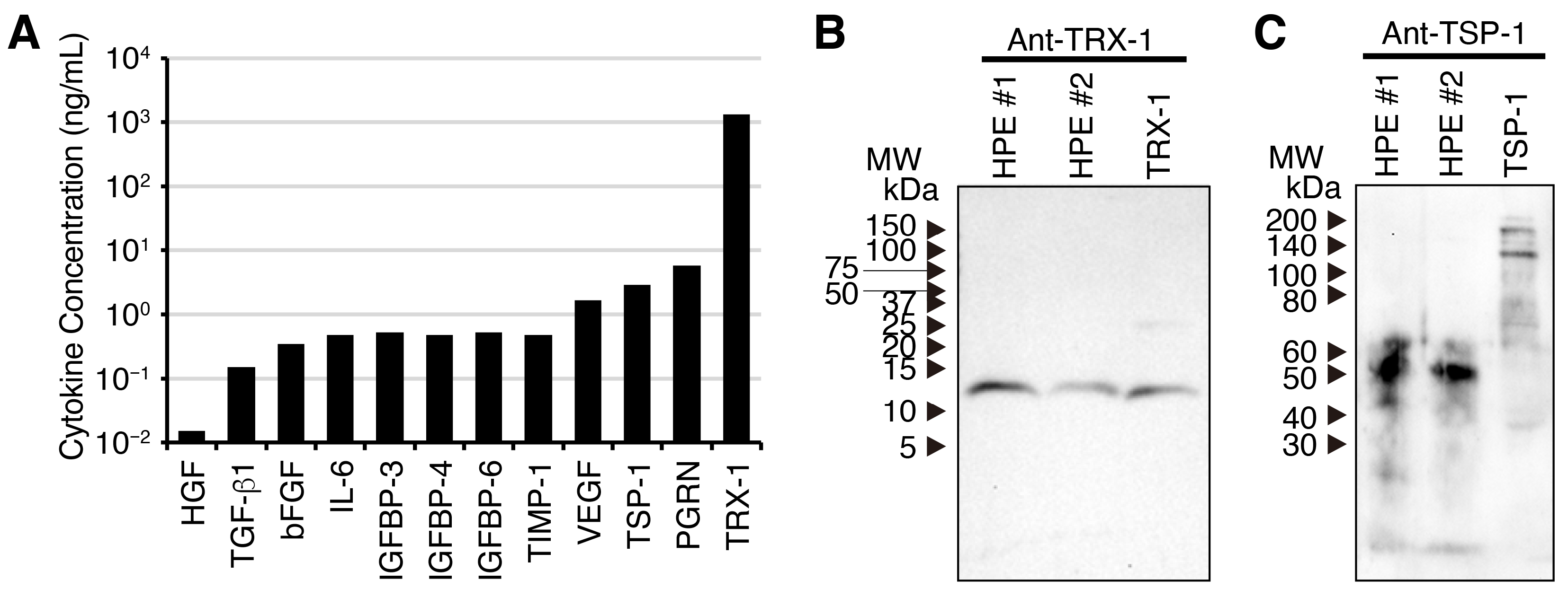 Protective Effects of a New Human Placental Extract Against Hair ...