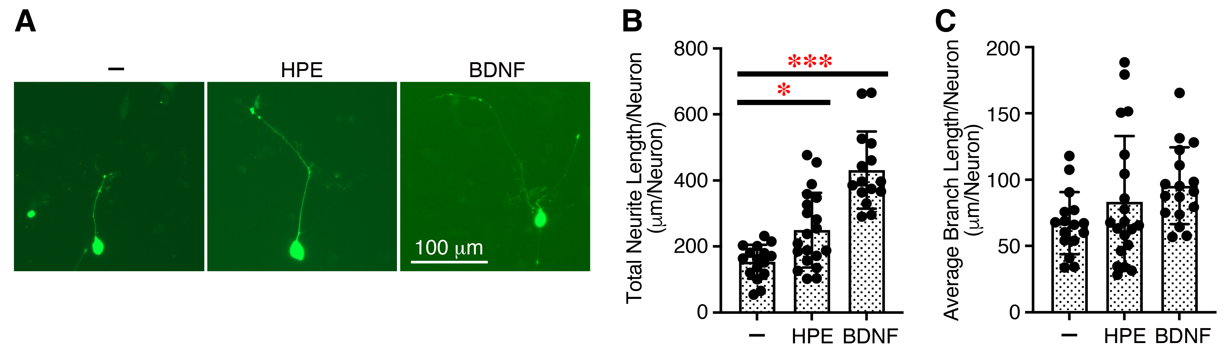 Protective Effects of a New Human Placental Extract Against Hair ...