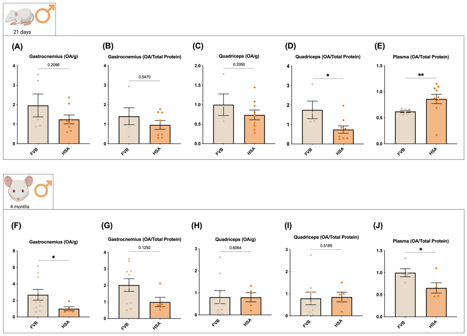 Oleic Acid Levels in HSALR Mouse Model of Myotonic Dystrophy Type 1