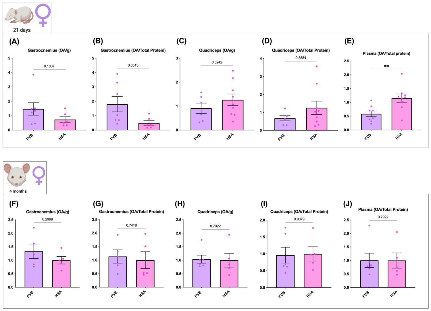 Oleic Acid Levels in HSALR Mouse Model of Myotonic Dystrophy Type 1