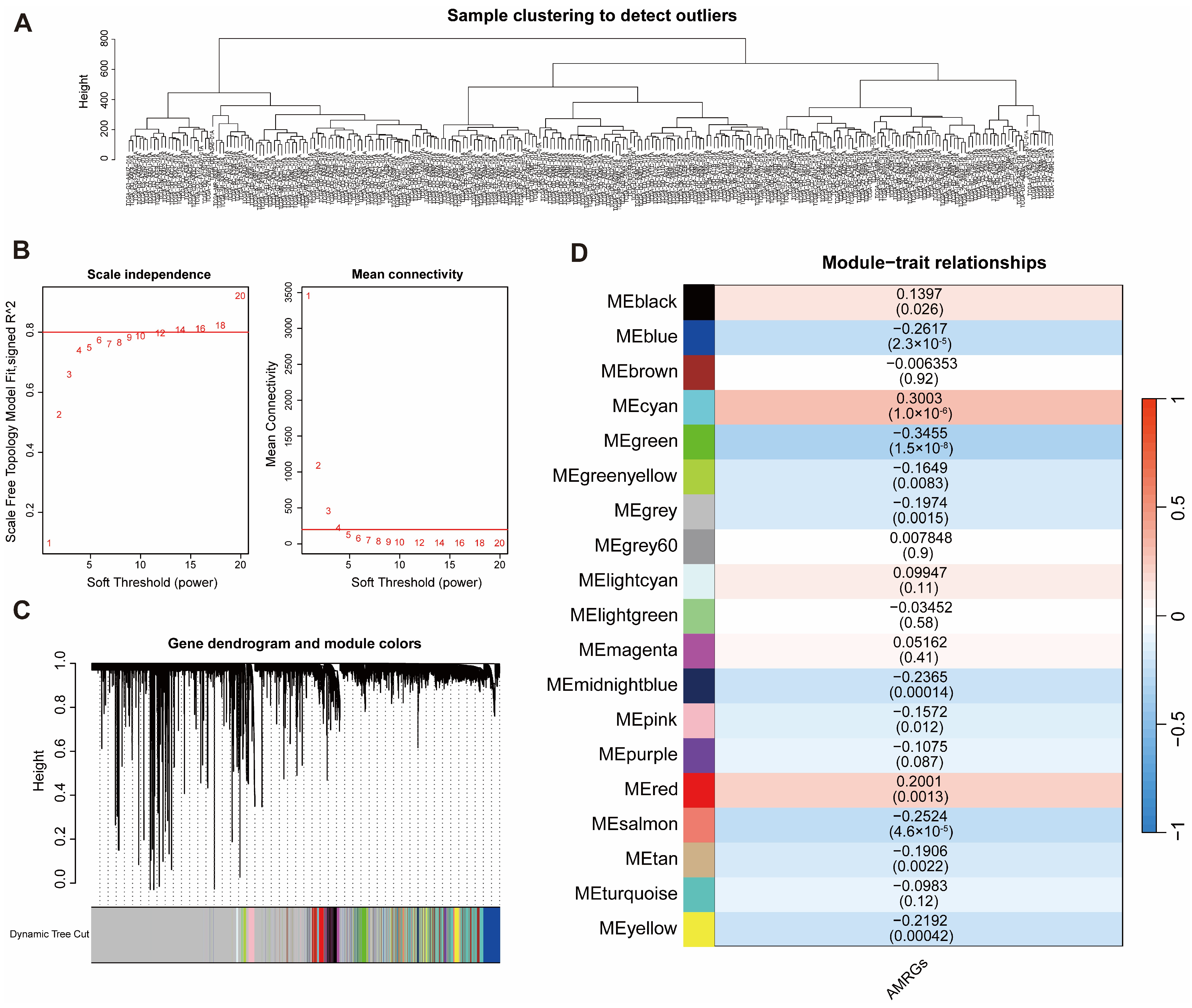 Prognostic Genes Linked to Asparagine Metabolism in Hepatocellular ...