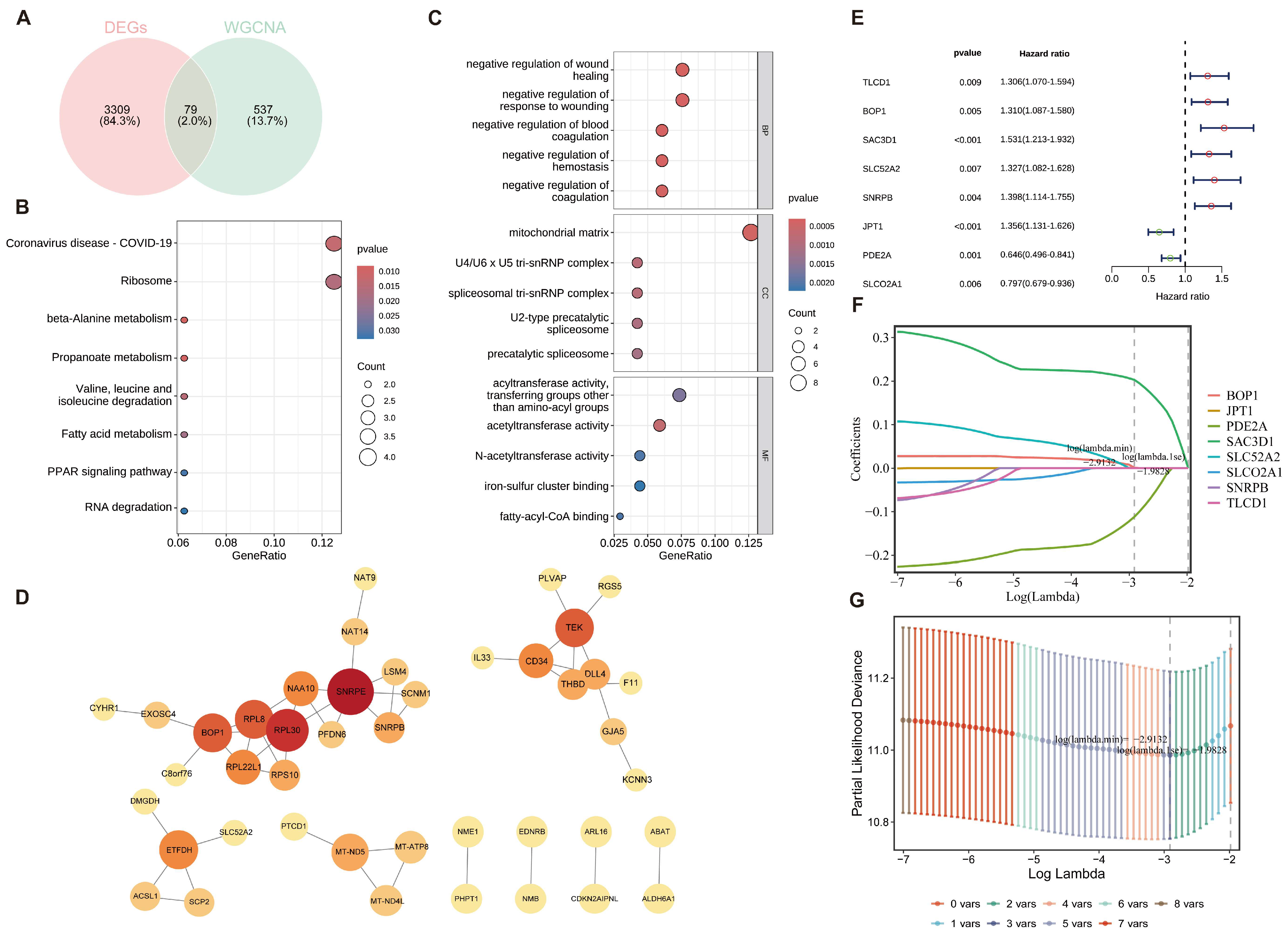 Prognostic Genes Linked to Asparagine Metabolism in Hepatocellular ...