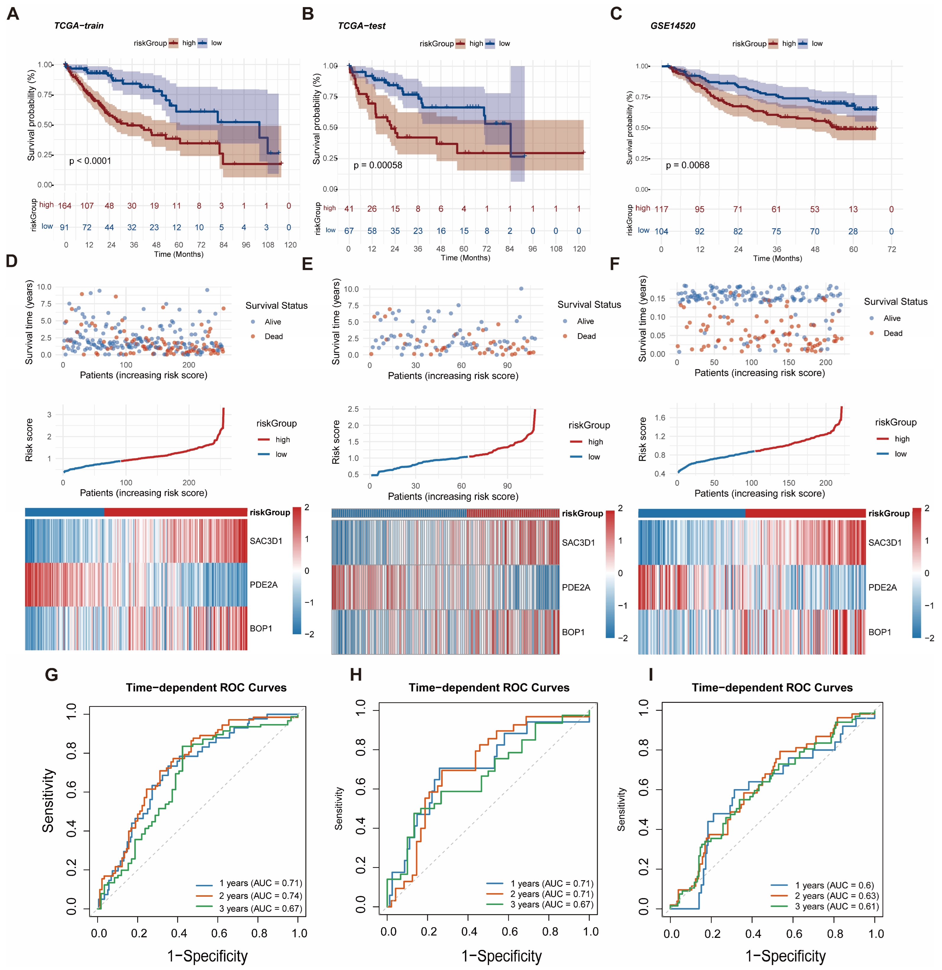 Prognostic Genes Linked to Asparagine Metabolism in Hepatocellular ...