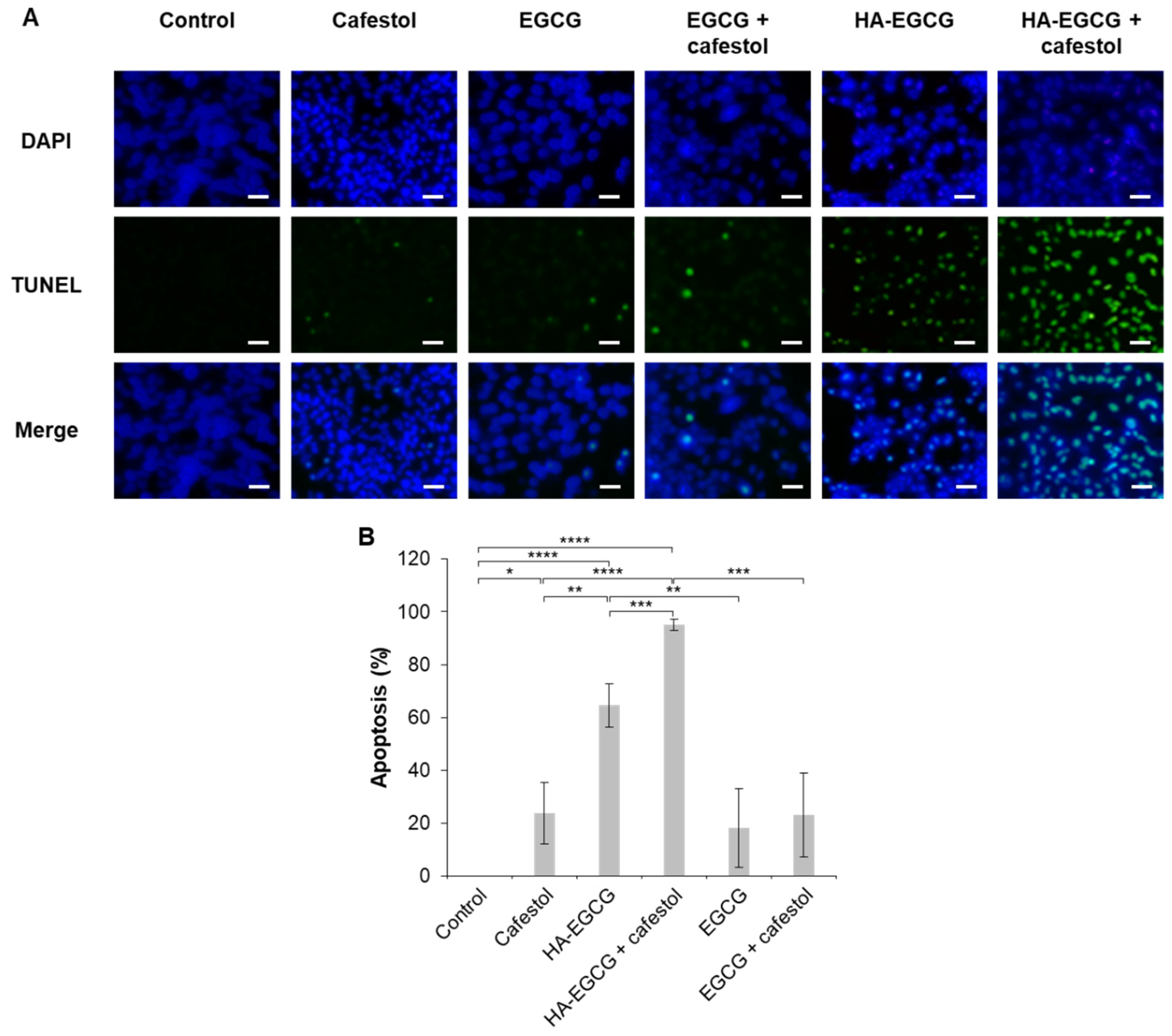 Synergistic and Selective Antiproliferative Effects of Cafestol and a ...