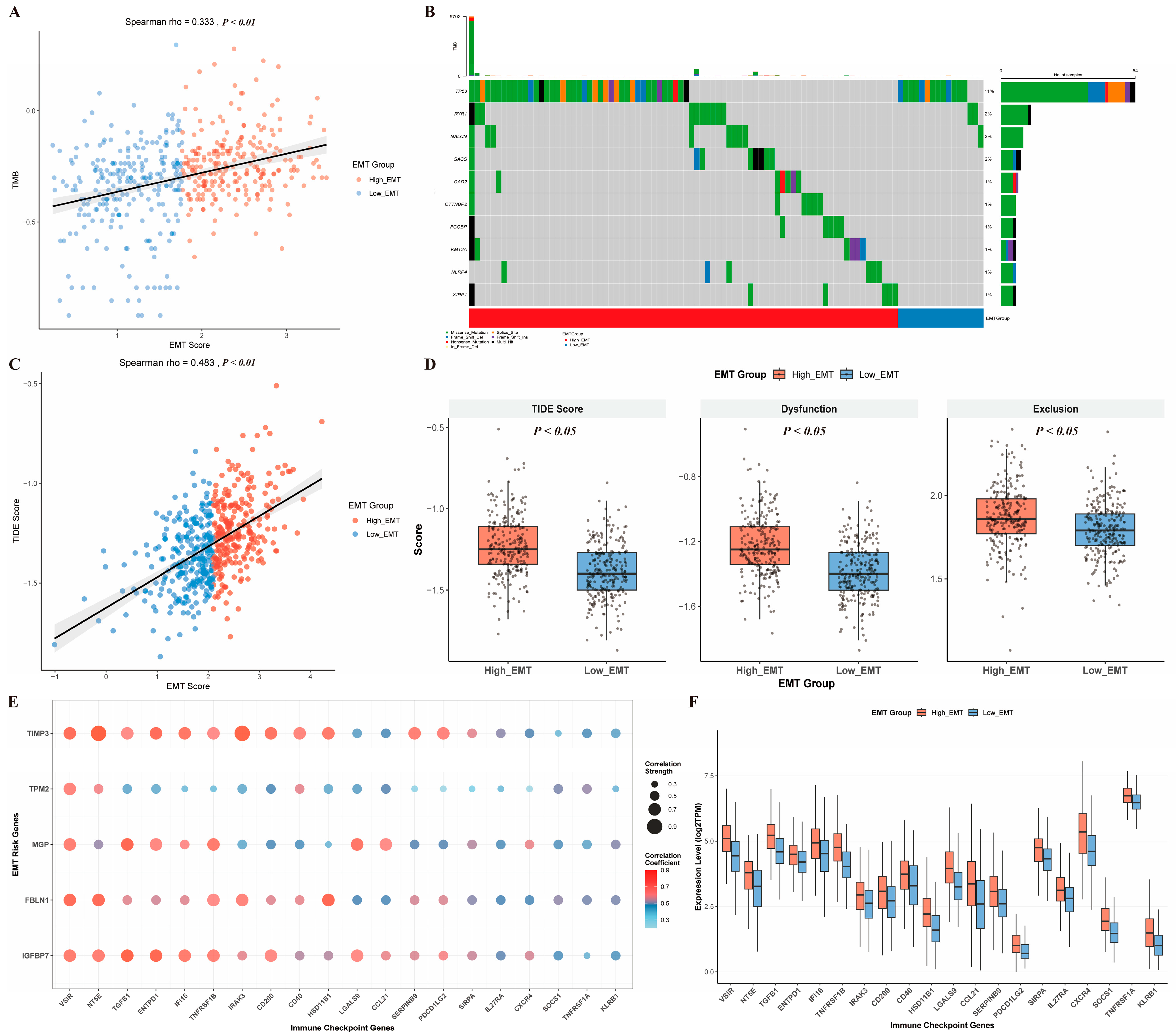 Integrated Single-Cell RNA-Seq and Machine Learning to Construct an EMT ...
