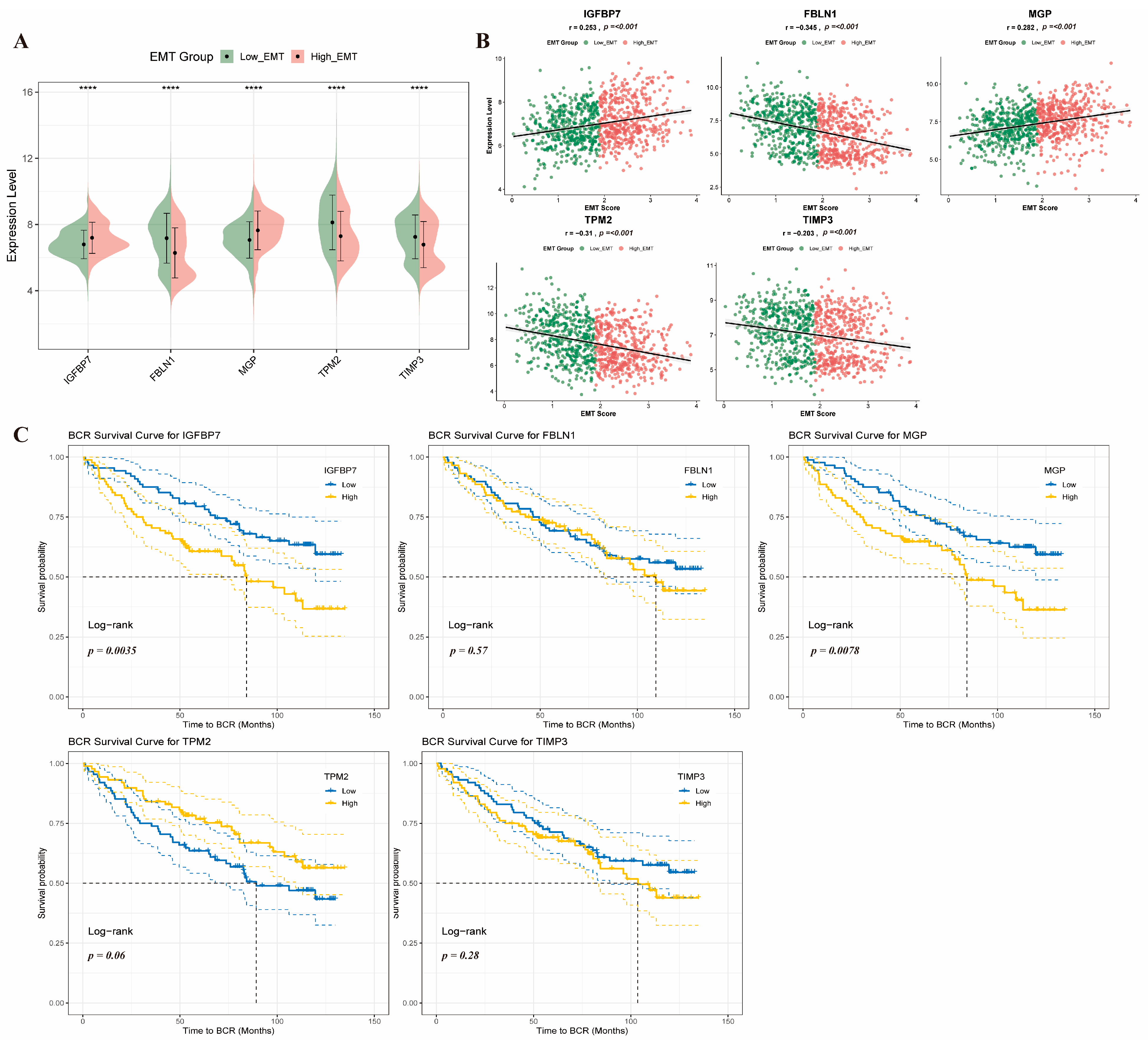 Integrated Single-Cell RNA-Seq and Machine Learning to Construct an EMT ...