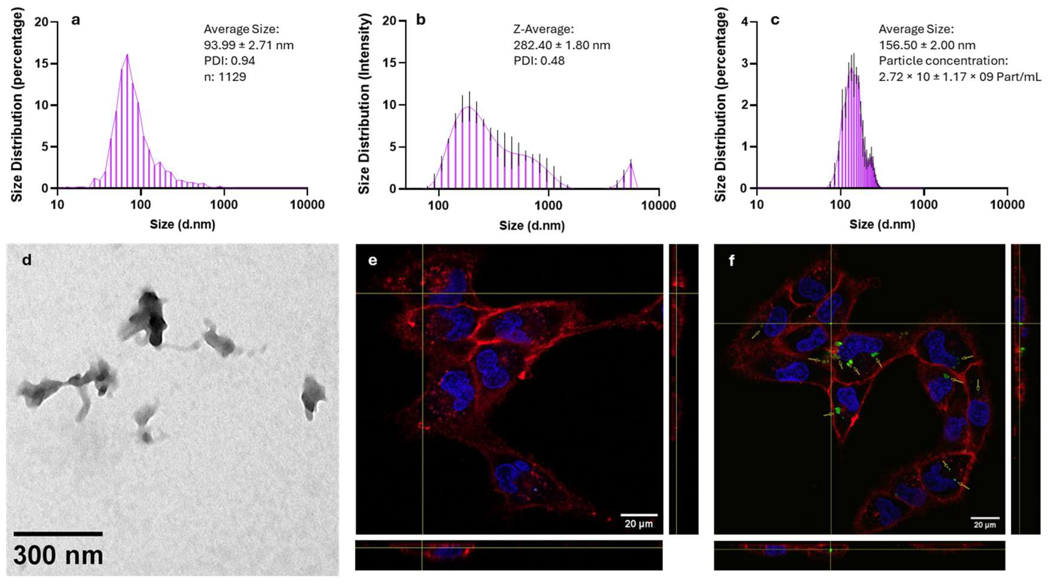 Long-Term PET-Nanoplastic Exposure Alters DNA Damage Response Capacity ...