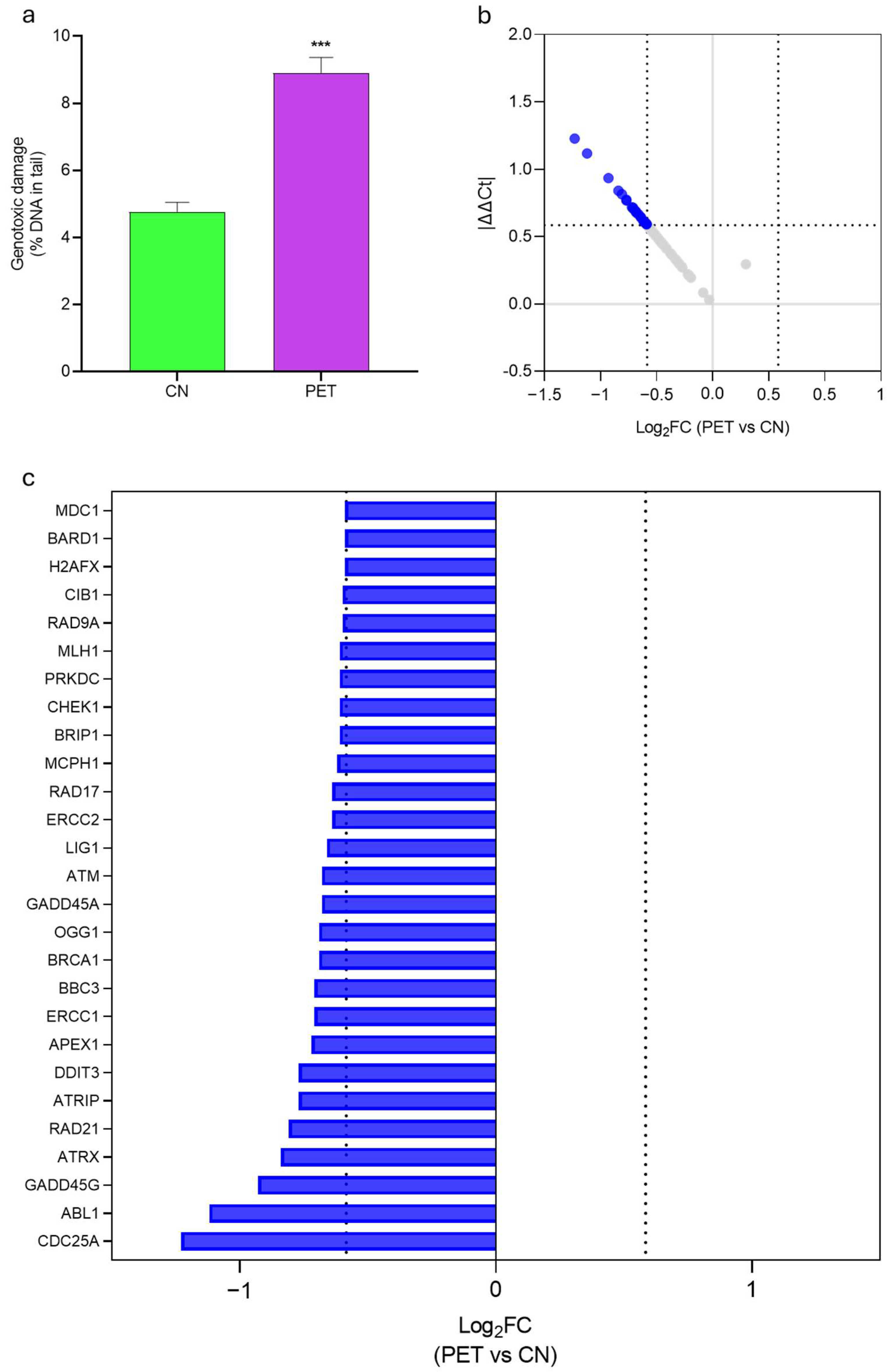 Long-Term PET-Nanoplastic Exposure Alters DNA Damage Response Capacity ...
