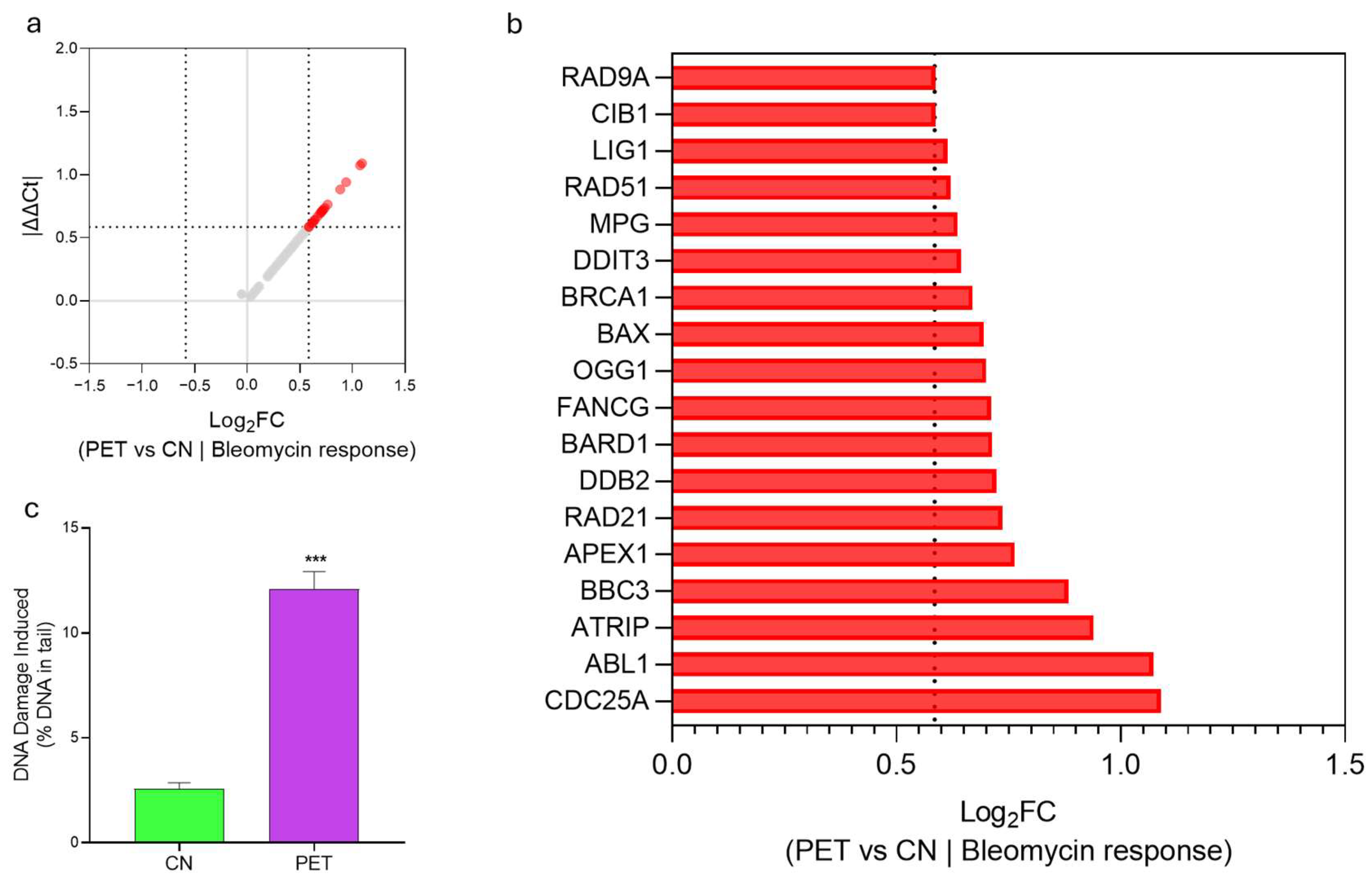 Long-Term PET-Nanoplastic Exposure Alters DNA Damage Response Capacity ...