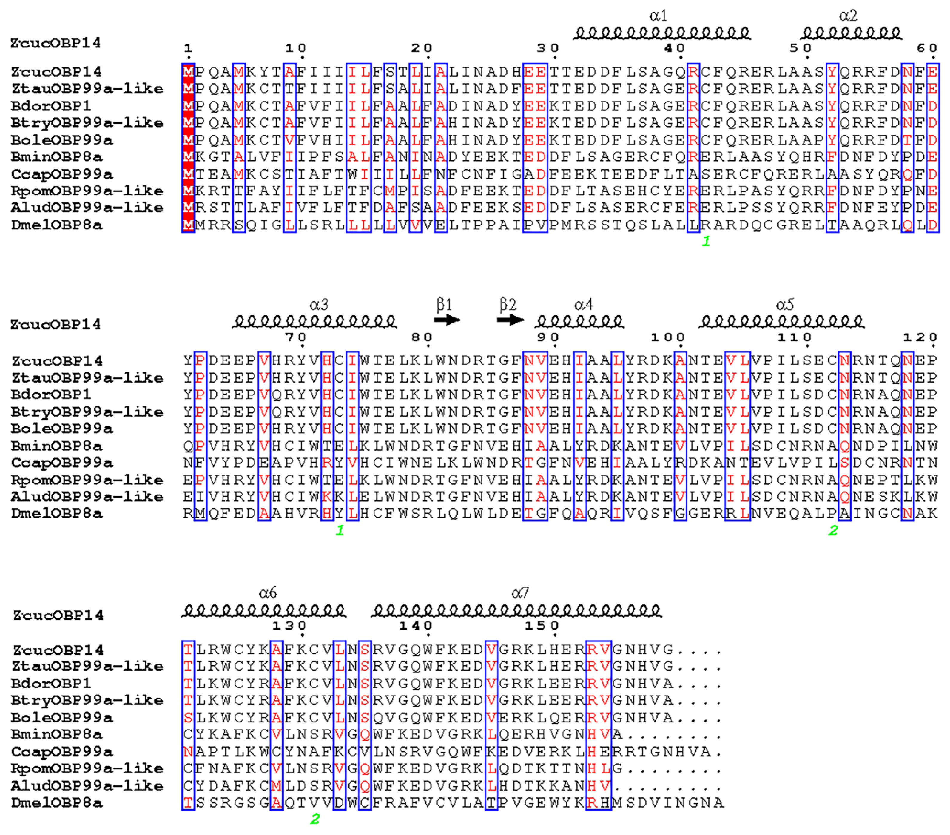 Function and Mechanism of ZcucOBP14 in Regulating Olfactory Recognition ...
