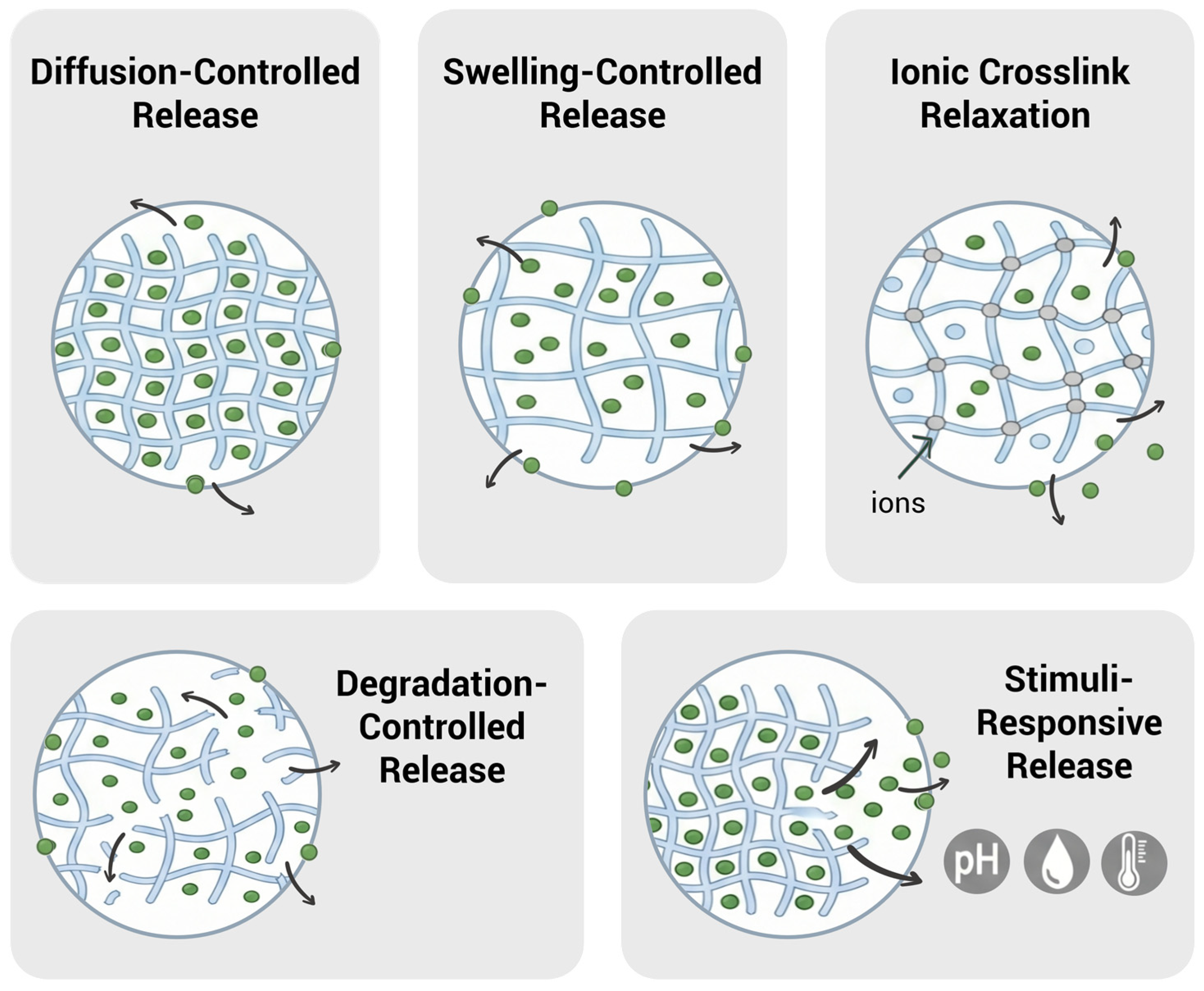 Hydrogel-Based Controlled Release of Phytohormones: Improving ...