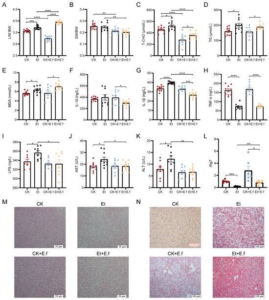 Akkermansia muciniphila Alleviates Enterococcus faecalis-Exacerbated ...