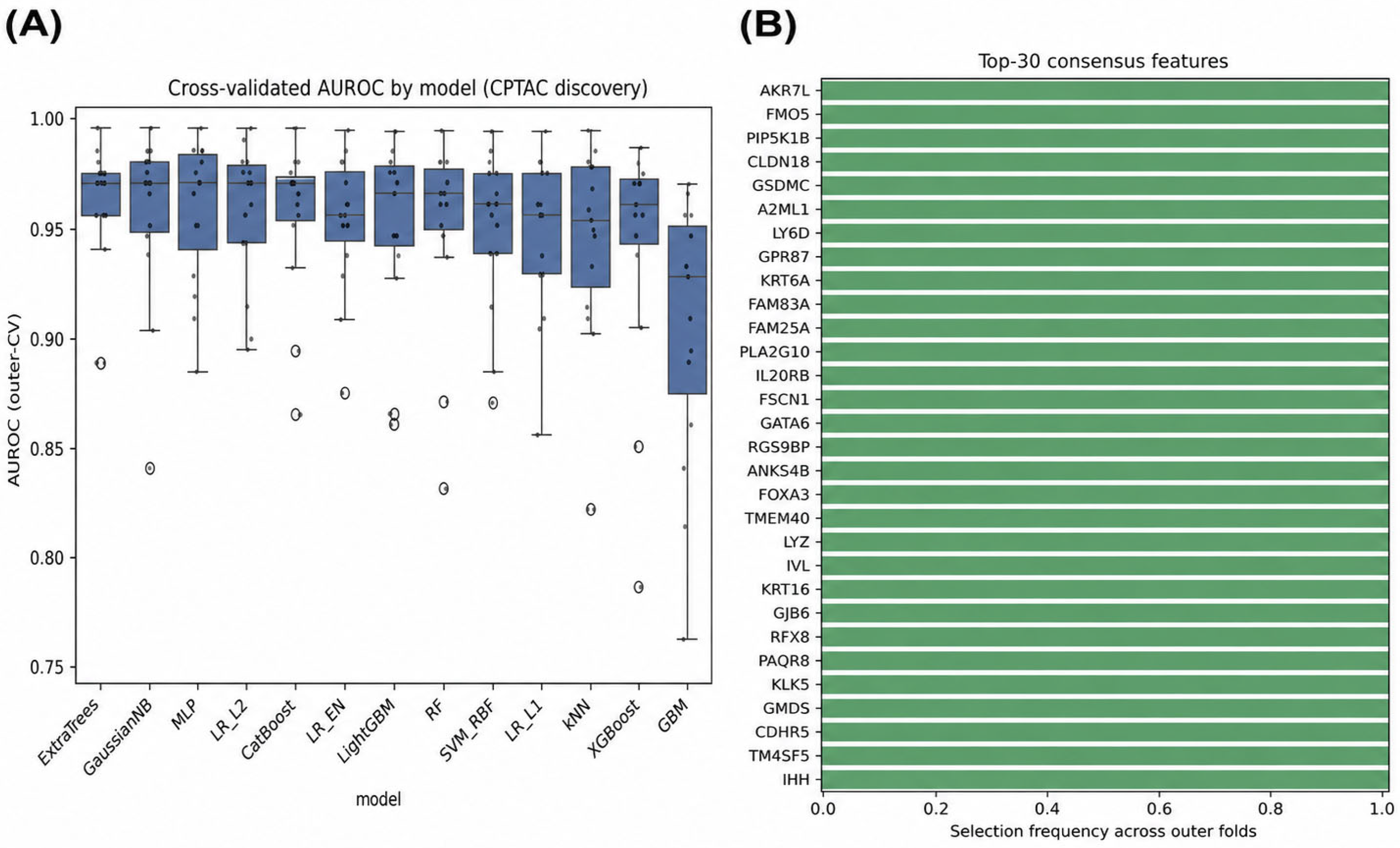 A Generalizable and Interpretable Framework for Molecular Subtype ...