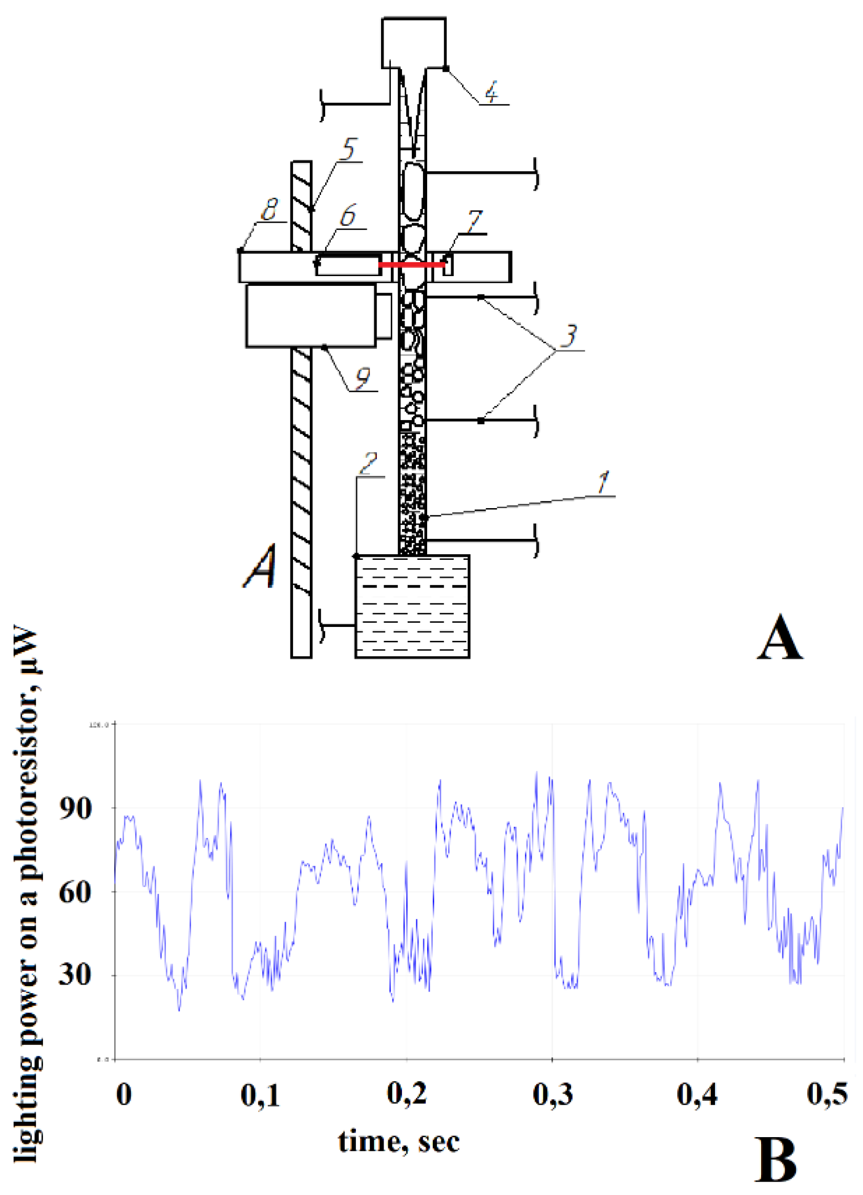 Hydrodynamics of a two-phase upward flow during boiling at distributed ...