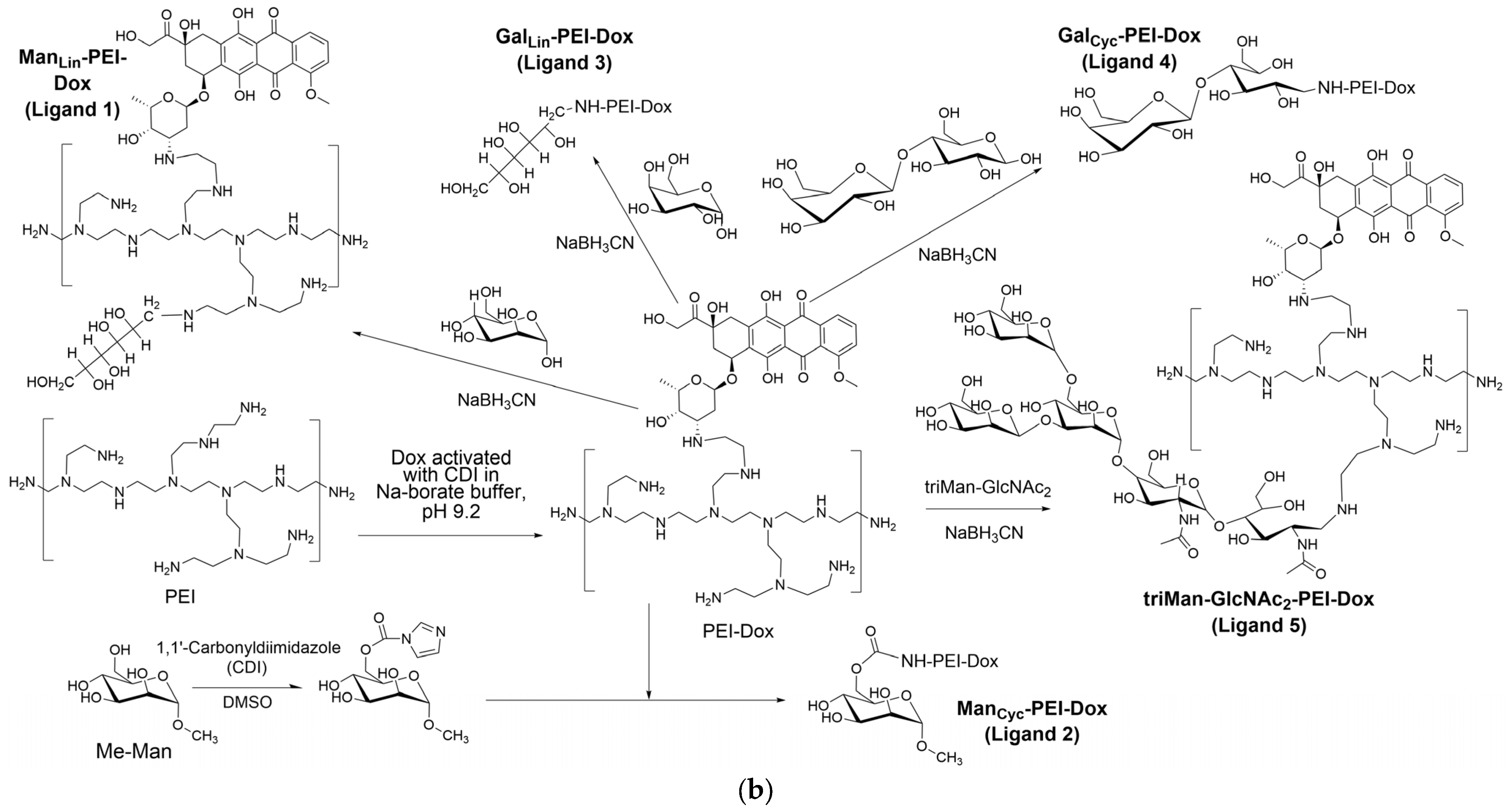 A Glycan-Based Ligands for Phenotypic Profiling and Selective ...