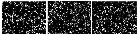 Study on the Rheological Properties and Composition of SBS-Modified ...
