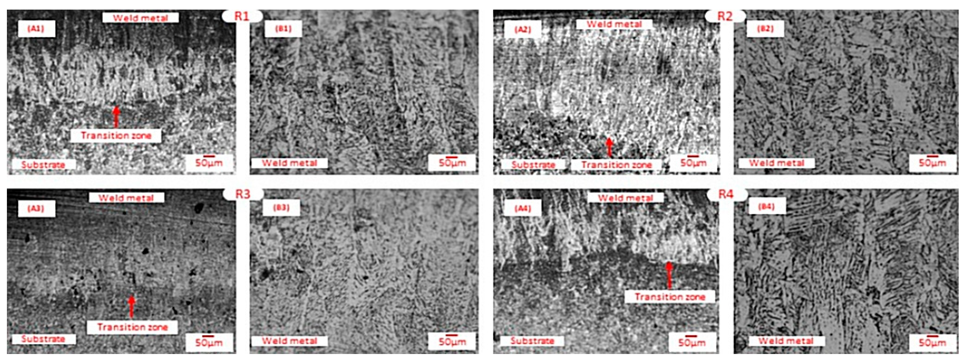 Correction: Kaptanoglu, M. Green Manufacturing of Rutile (TiO2) Welding ...